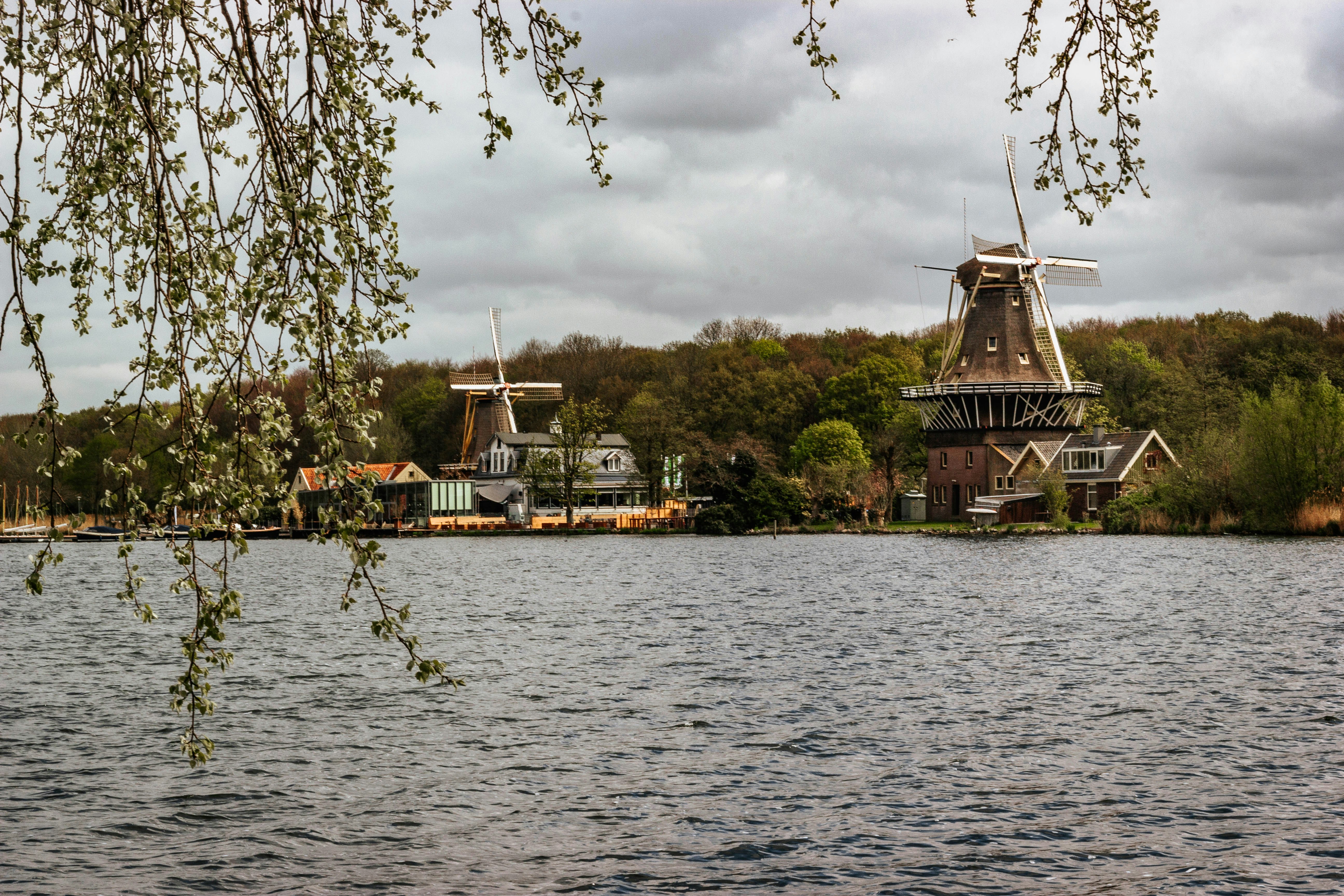 Windmills on the Water: A Quiet Dutch Lakeside Vista
