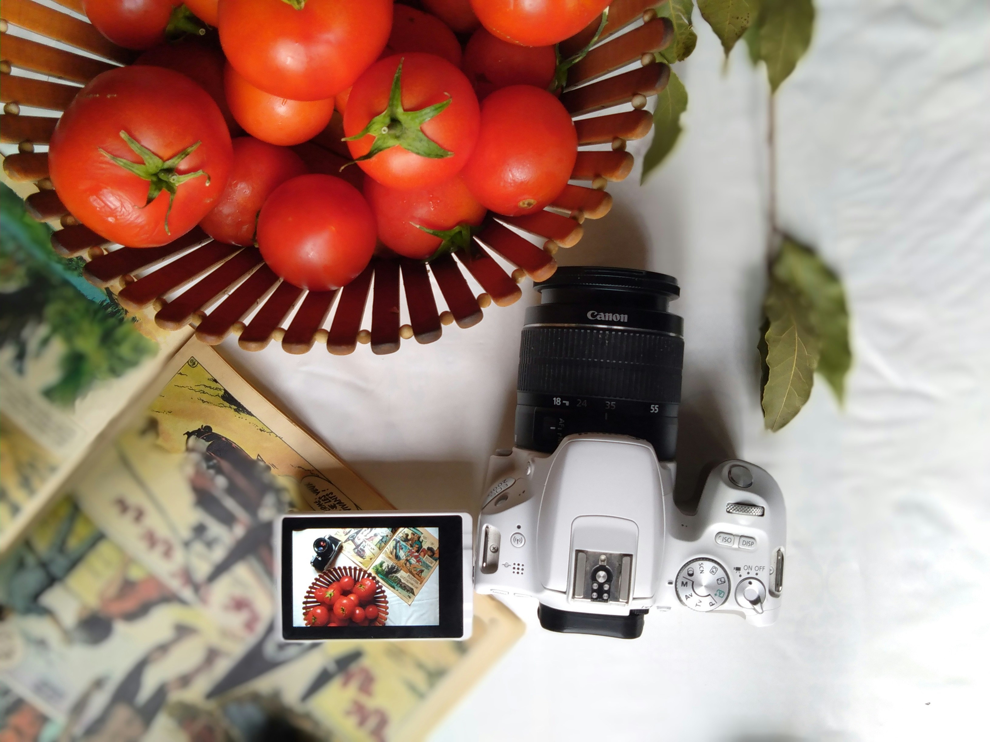 A white camera rests beside a basket overflowing with ripe tomatoes, with vintage illustrations in the background. The camera's display shows a close-up of a tomato.