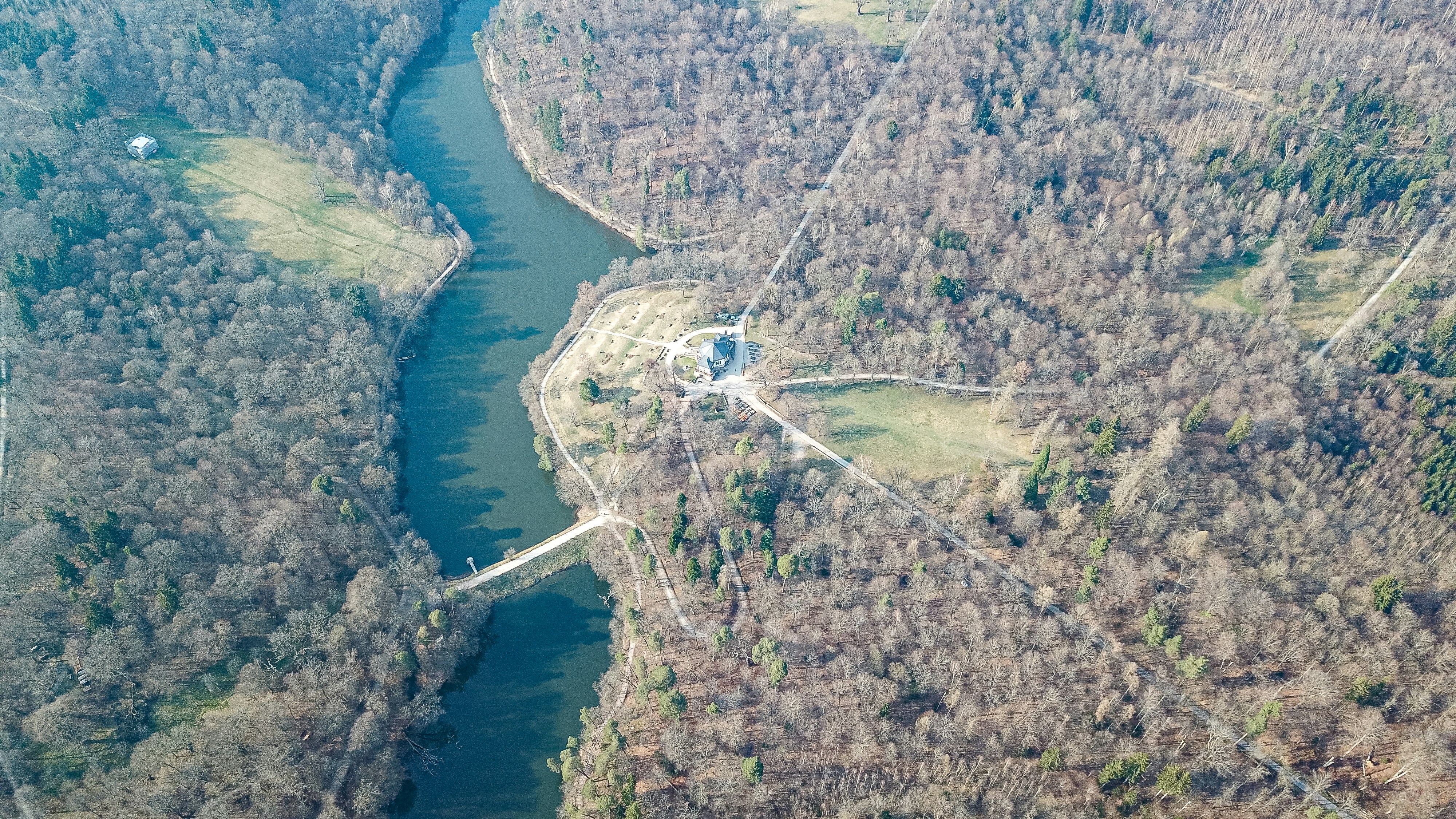 Whispering Bend: Aerial Portrait of a River Winding Through Pines