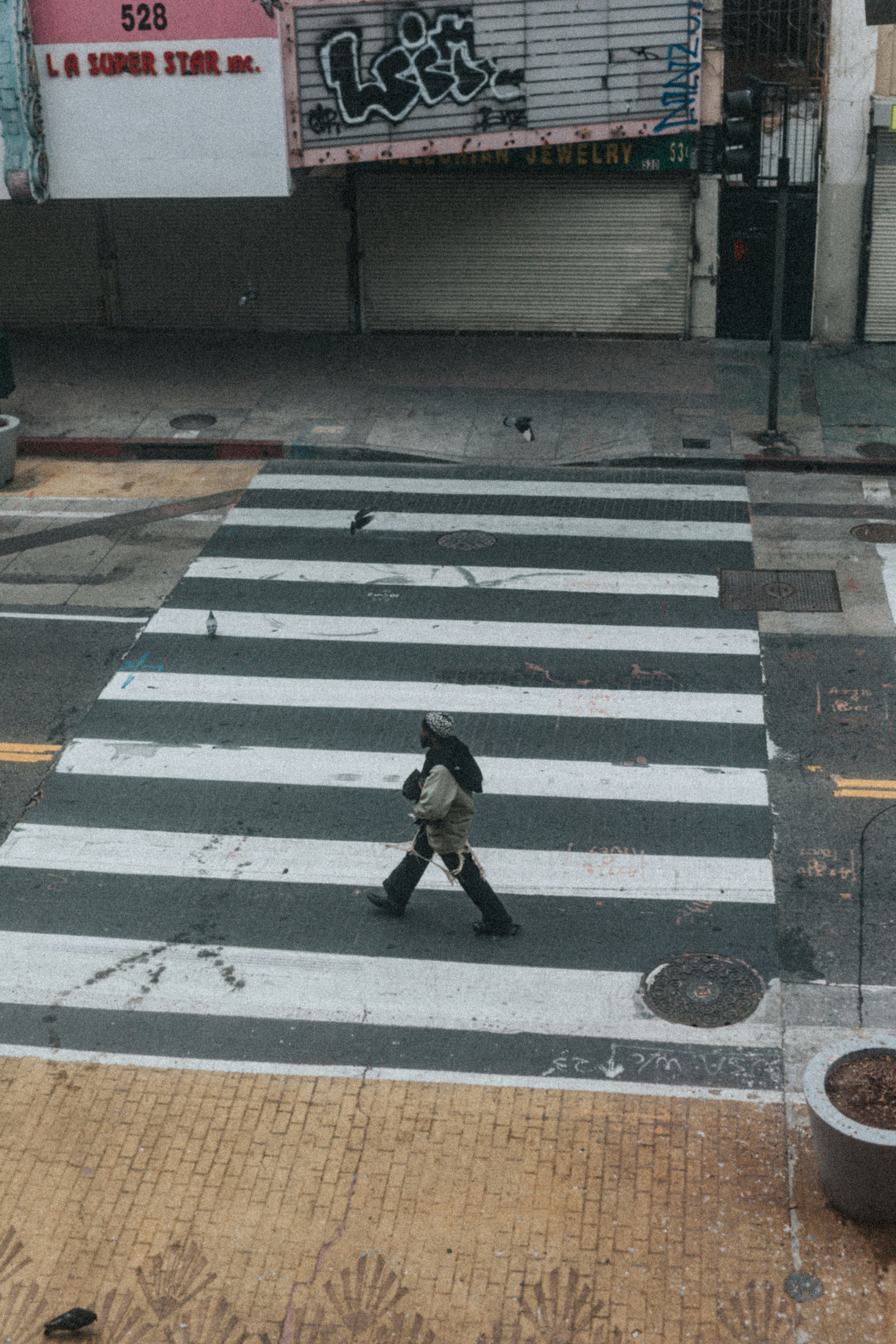 A lone figure strides across a striped crosswalk in a quiet urban setting, surrounded by scattered pigeons and graffiti-covered storefronts.