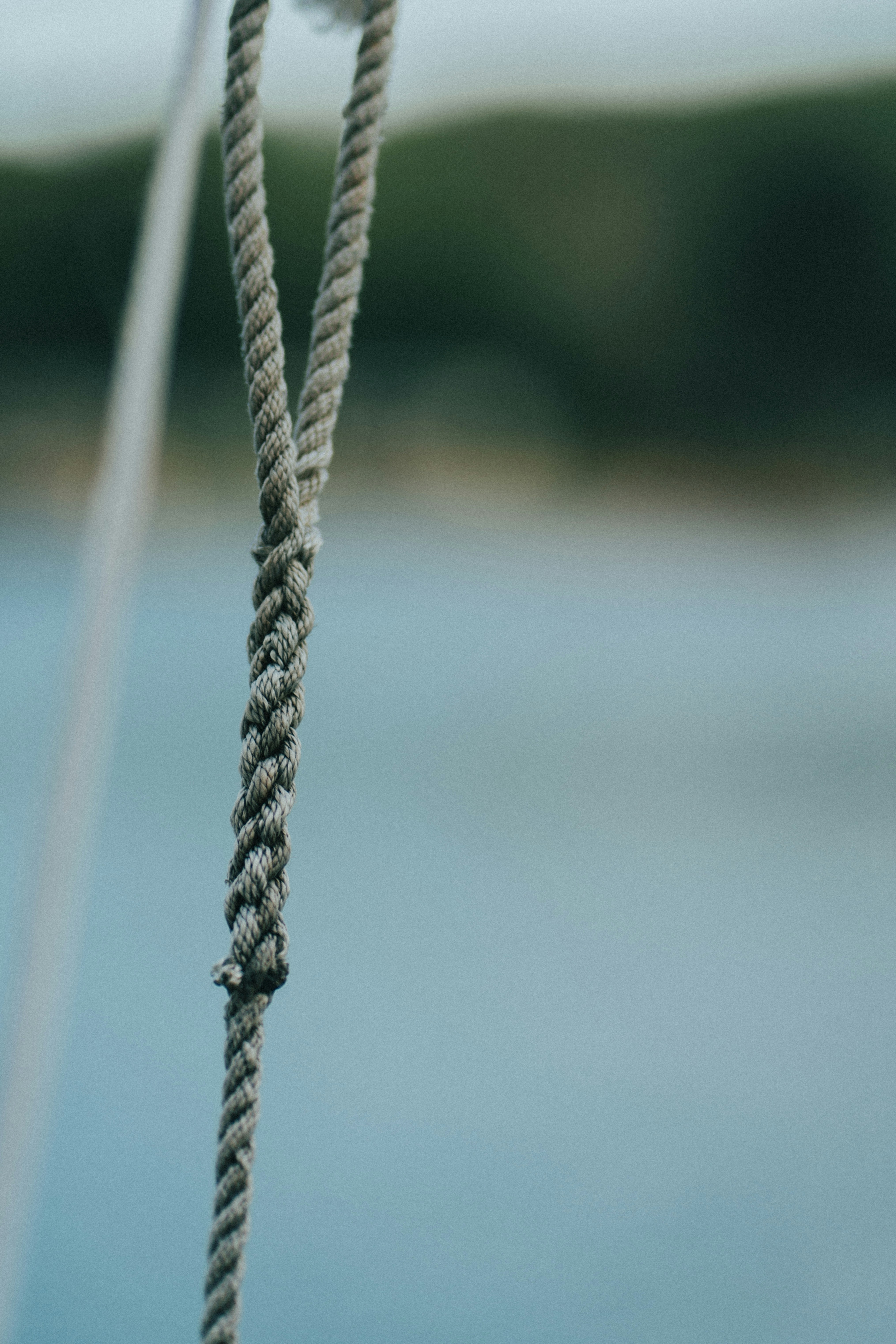 Rope in Focus: A Quiet Harbor Portrait