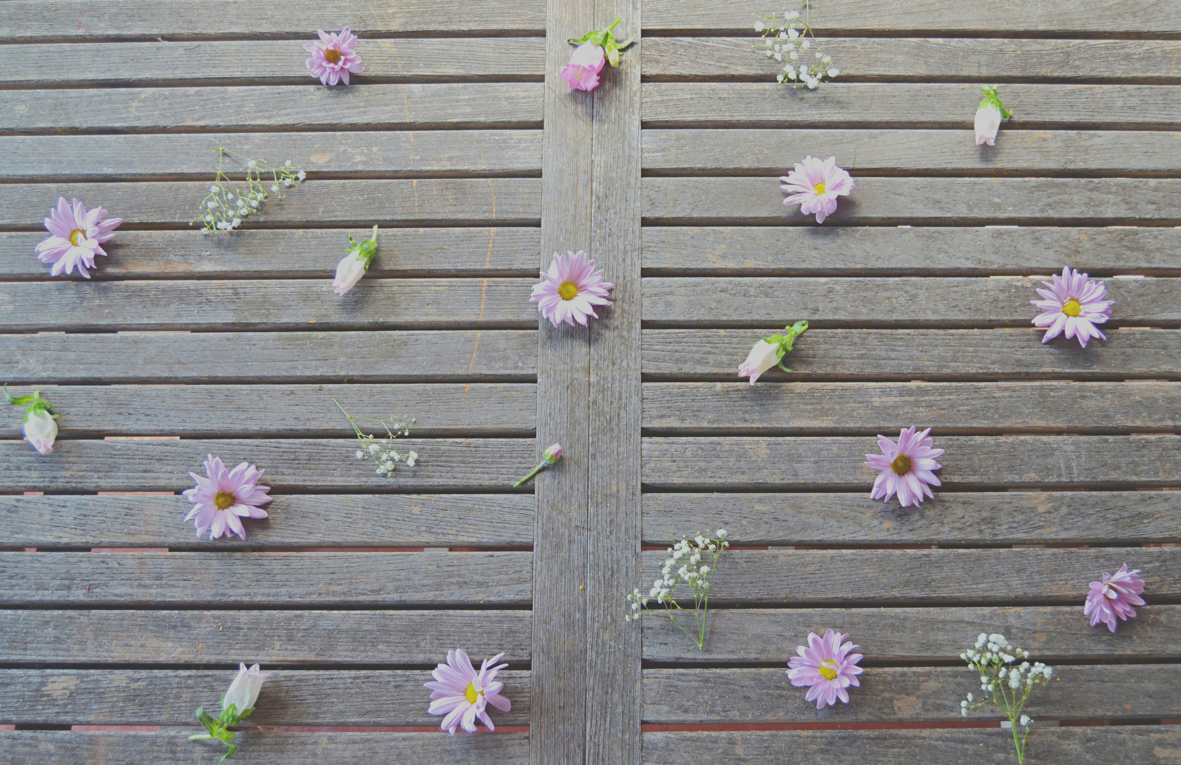 purple and white flower petals on brown wooden surface