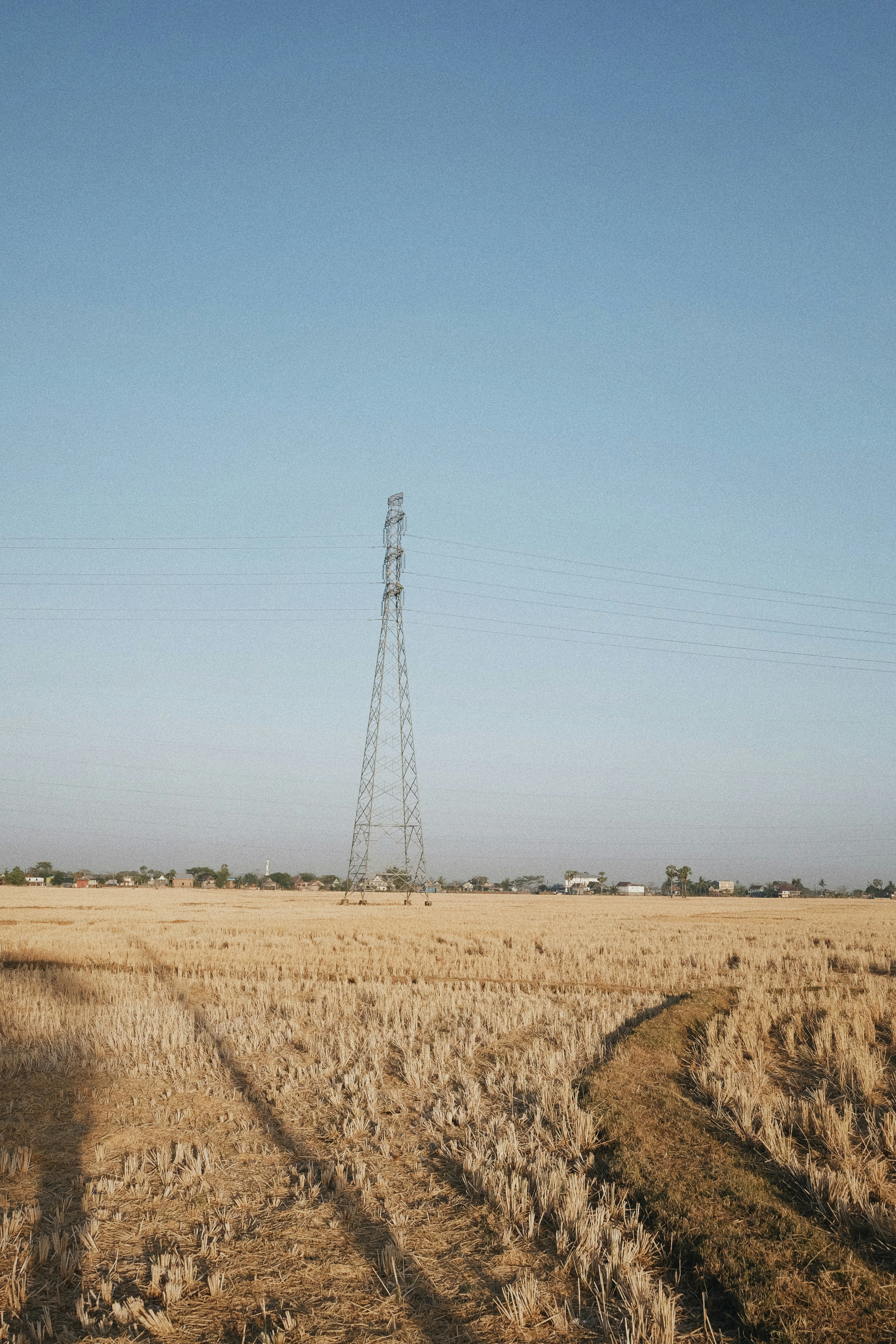 A lone transmission tower rises over a golden harvested field beneath a clear blue sky.