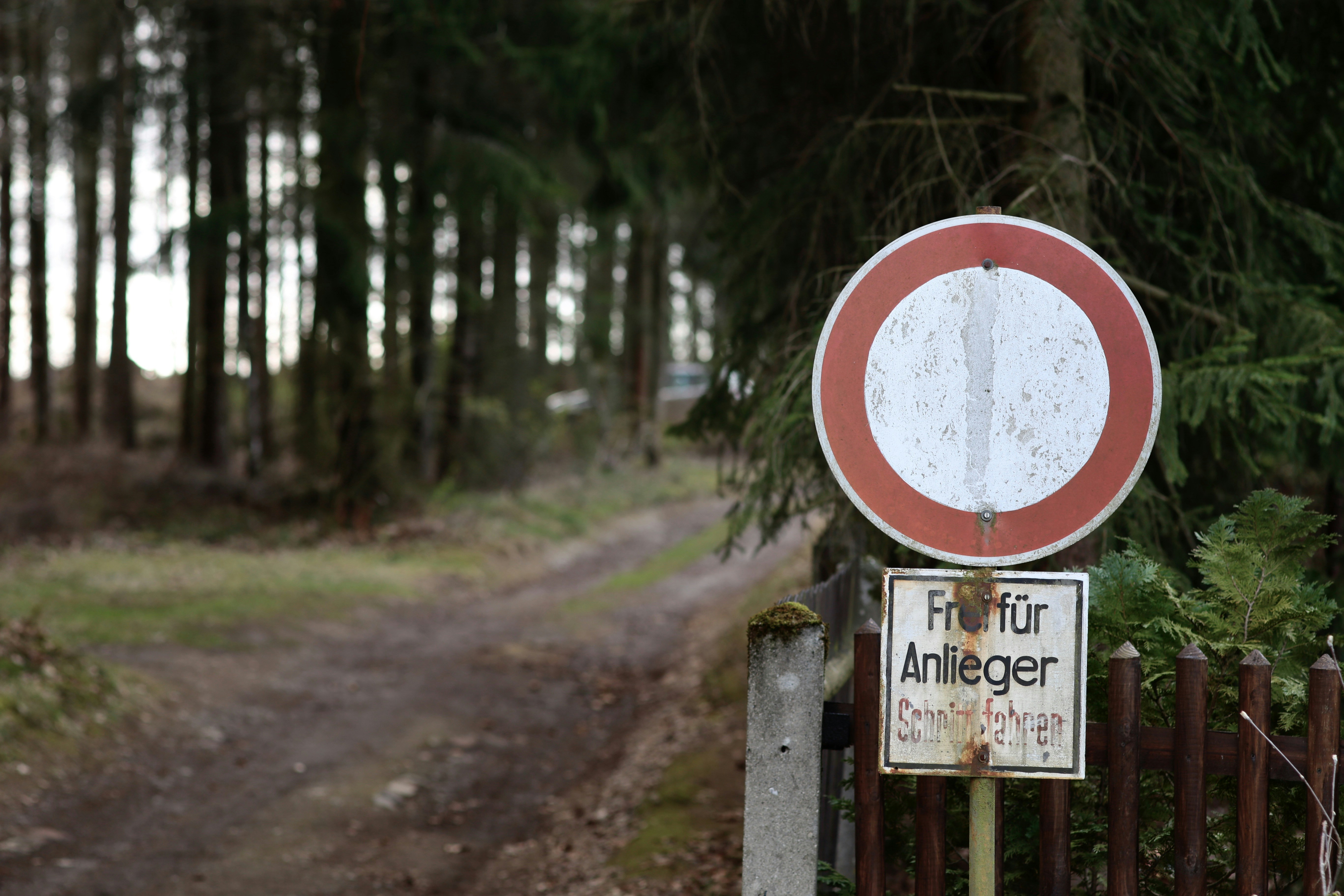 Weathered no-entry sign standing beside a winding forest trail, surrounded by tall trees and soft underbrush.