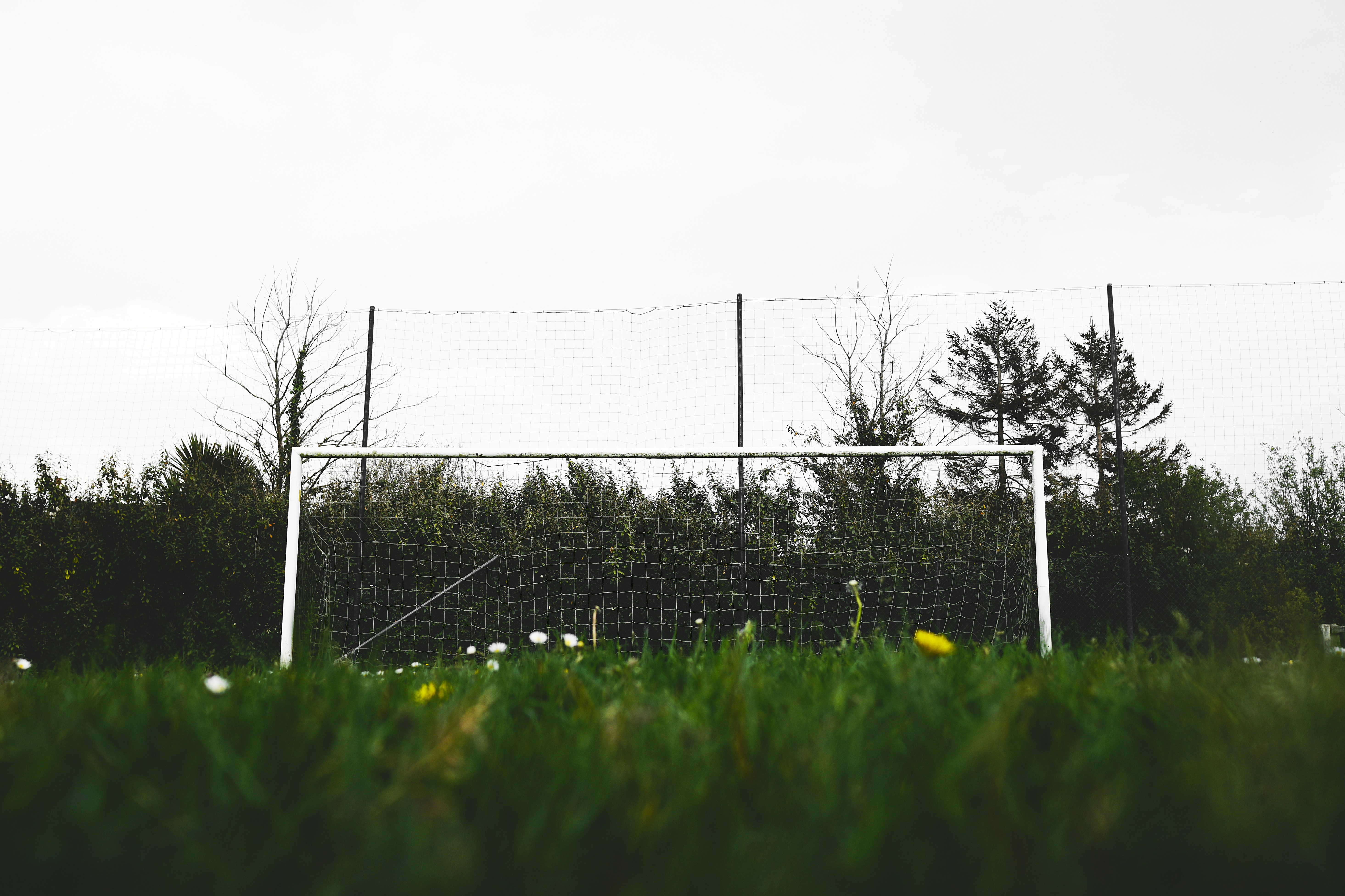 Soccer goalpost framed by lush grass and distant trees, under a cloudy sky. The scene captures the essence of a tranquil sports field.