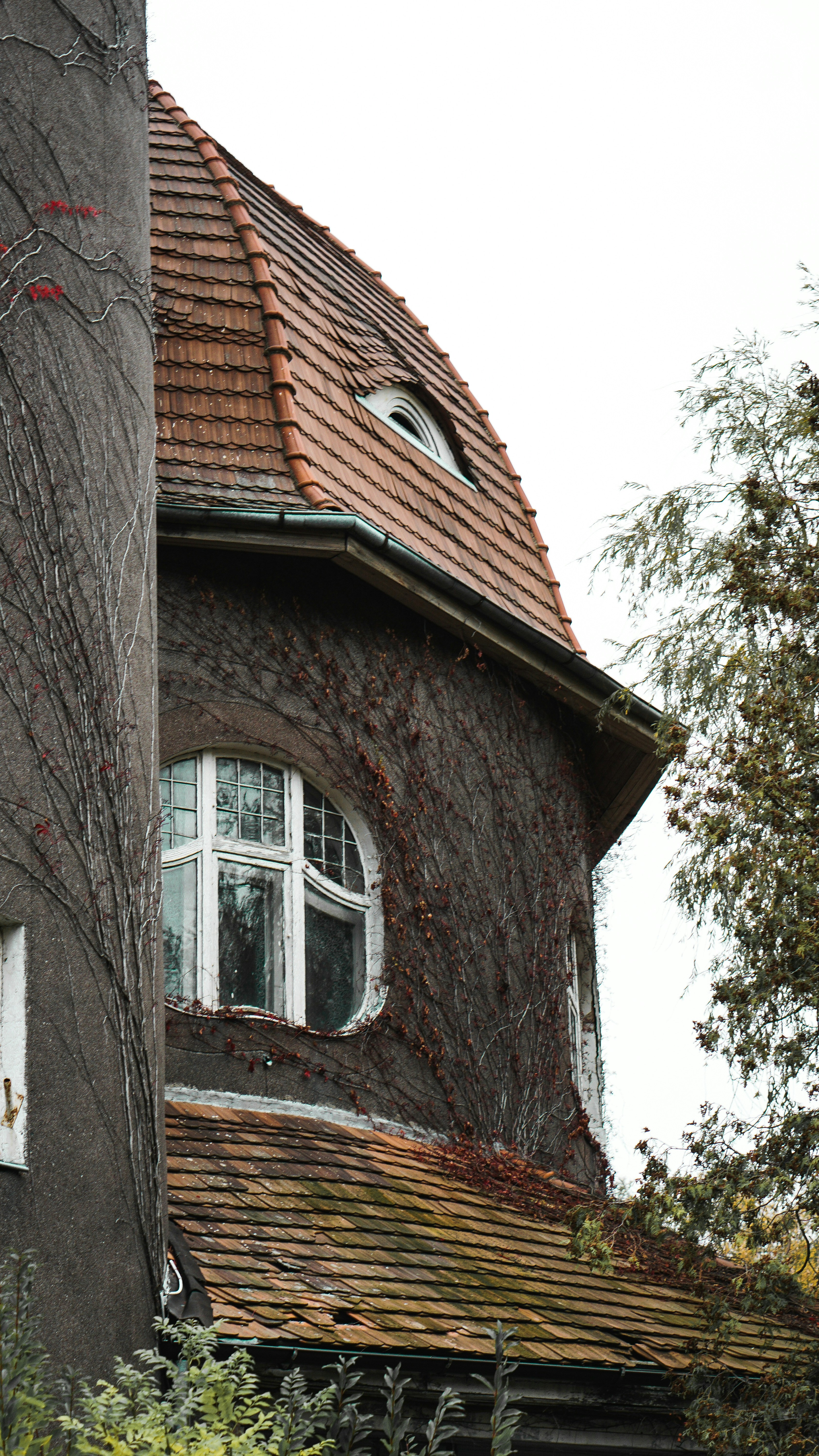 Ivied Circular Dormer on a Weathered Red-Tiled Roof