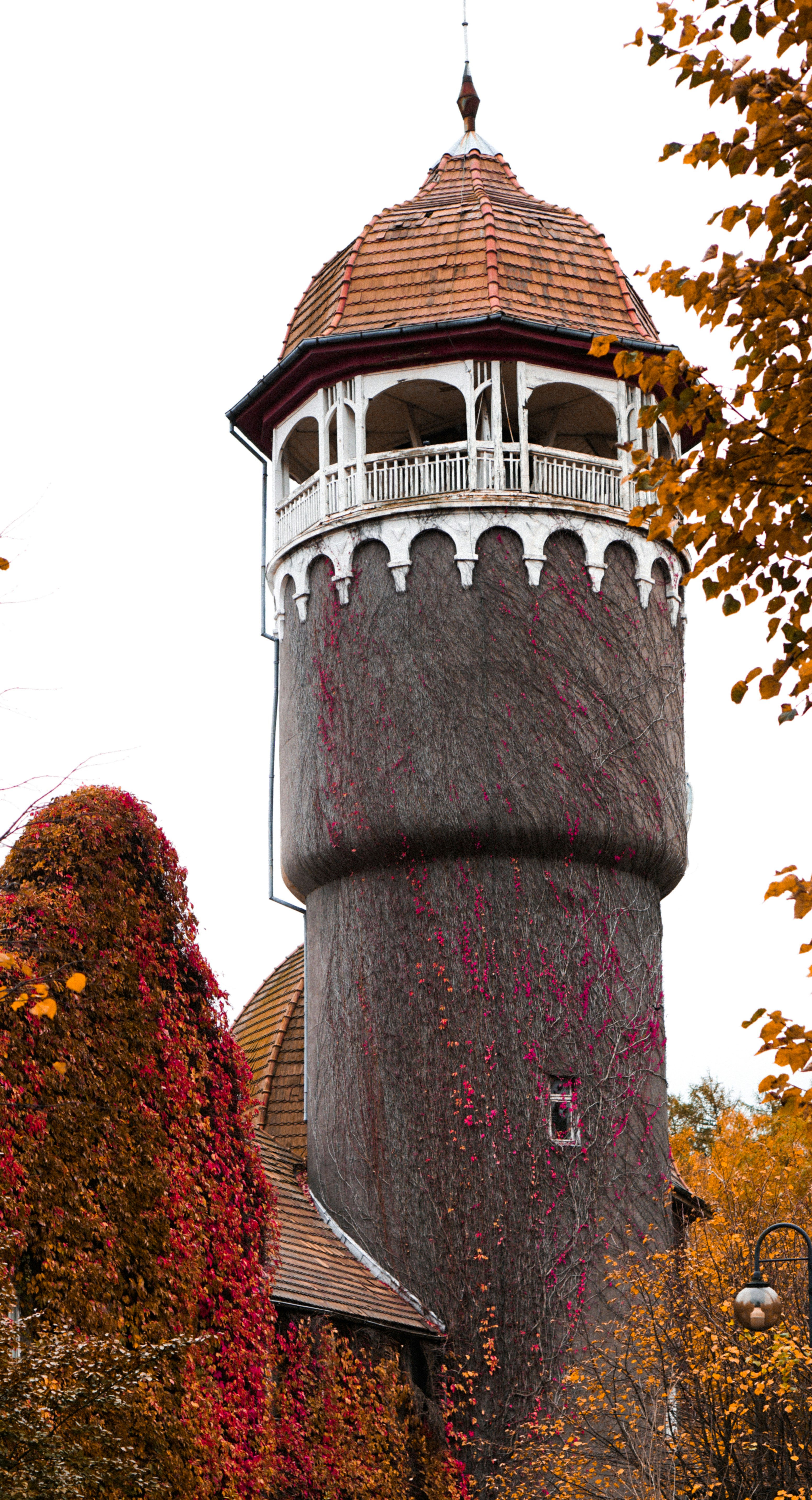 Ivory Rotunda Crest: Autumn Vines Cling to a Towering Keep