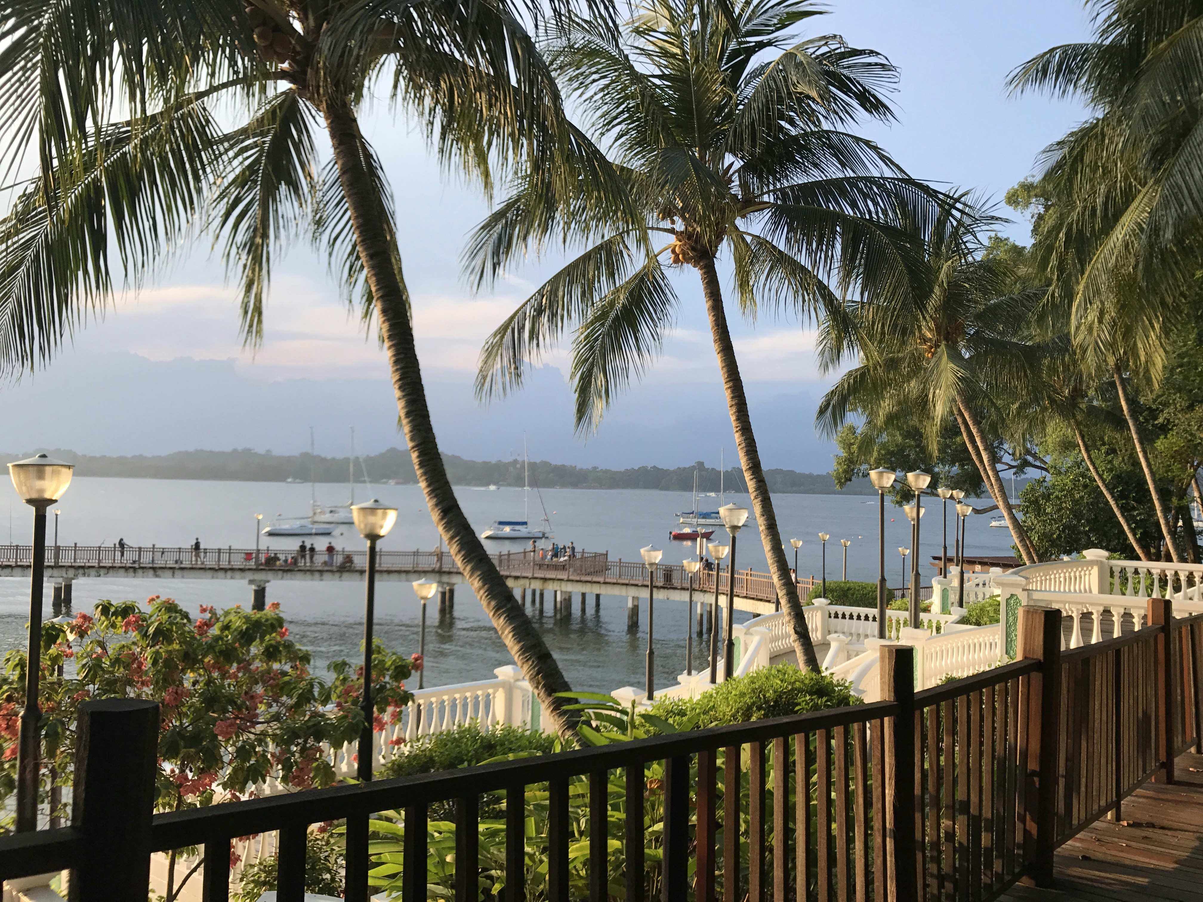 Palm trees sway gently over a scenic boardwalk with boats moored at a distant pier under a clear sky.