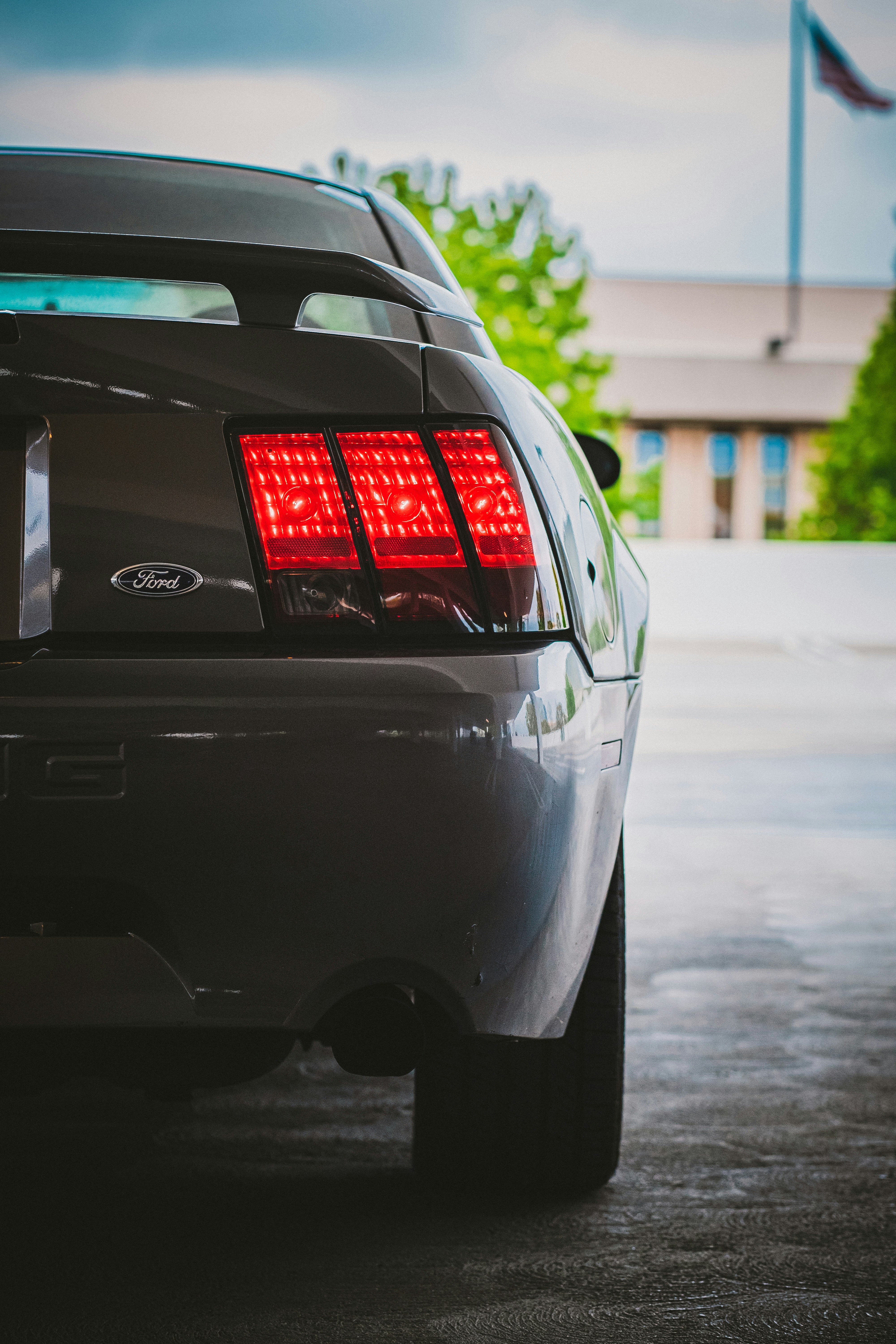 Mustang Gt Pictures | Download Free Images on Unsplash