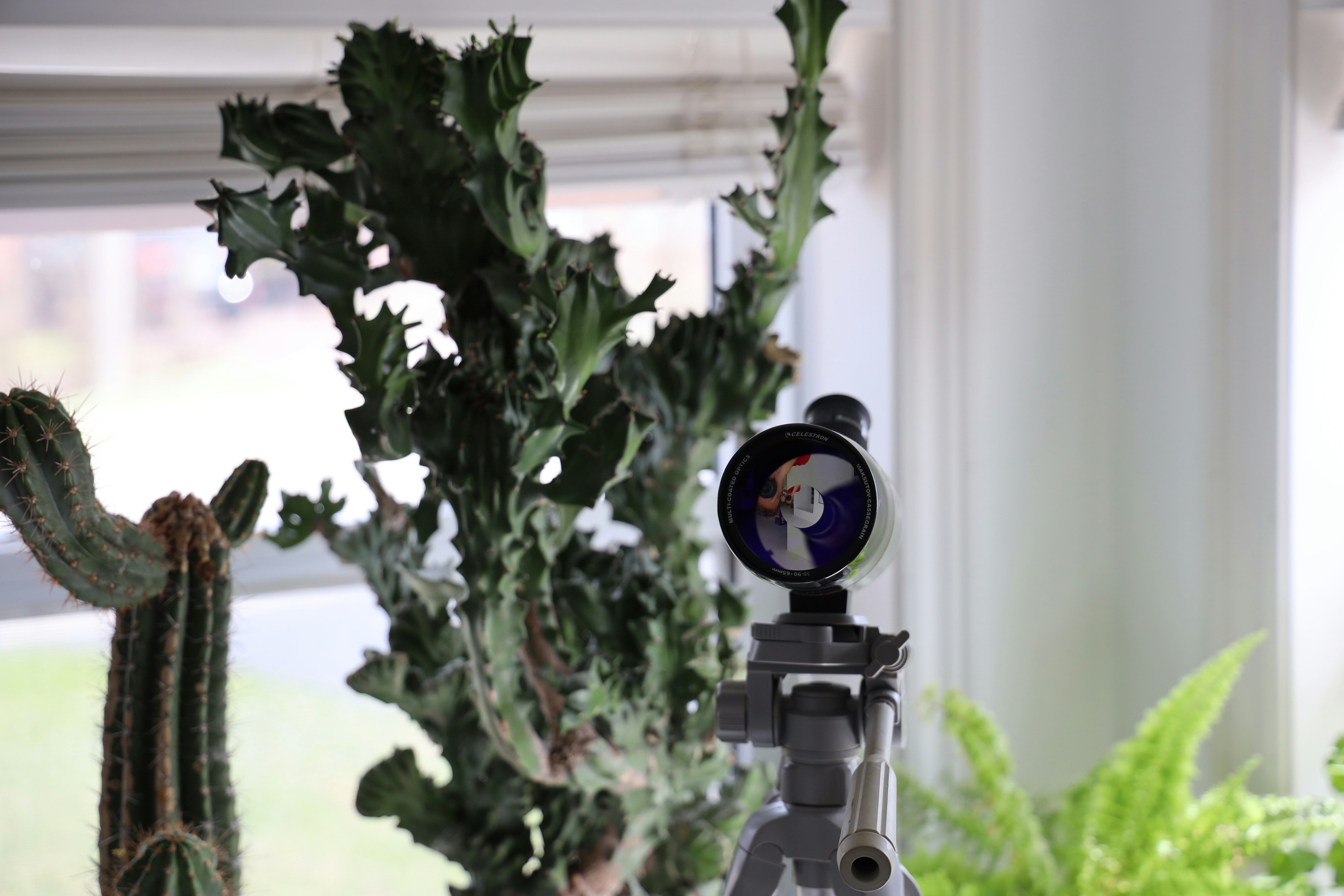 Aperture View: Telescope on a Tripod Among Indoor Cacti