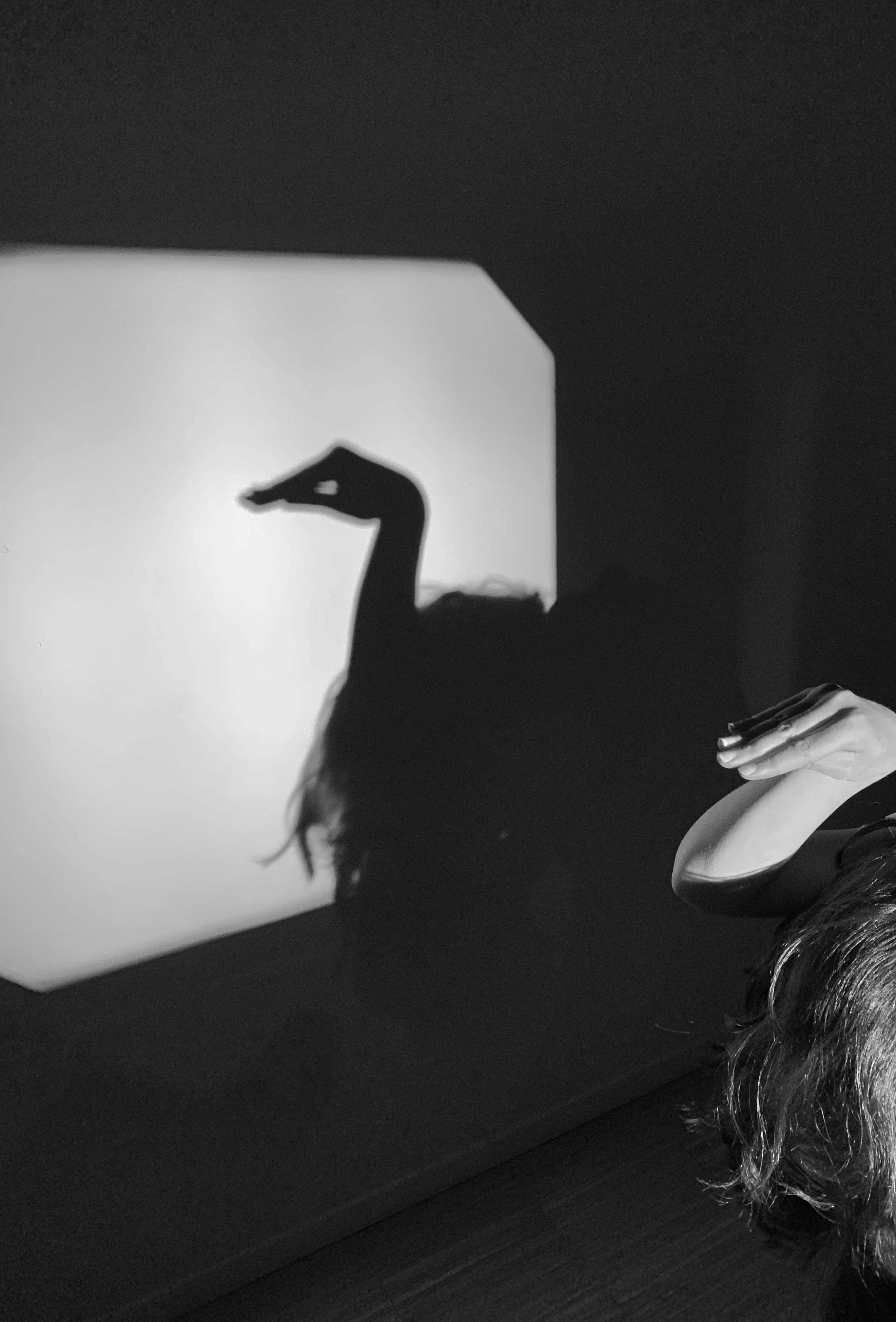 woman in black long sleeve shirt