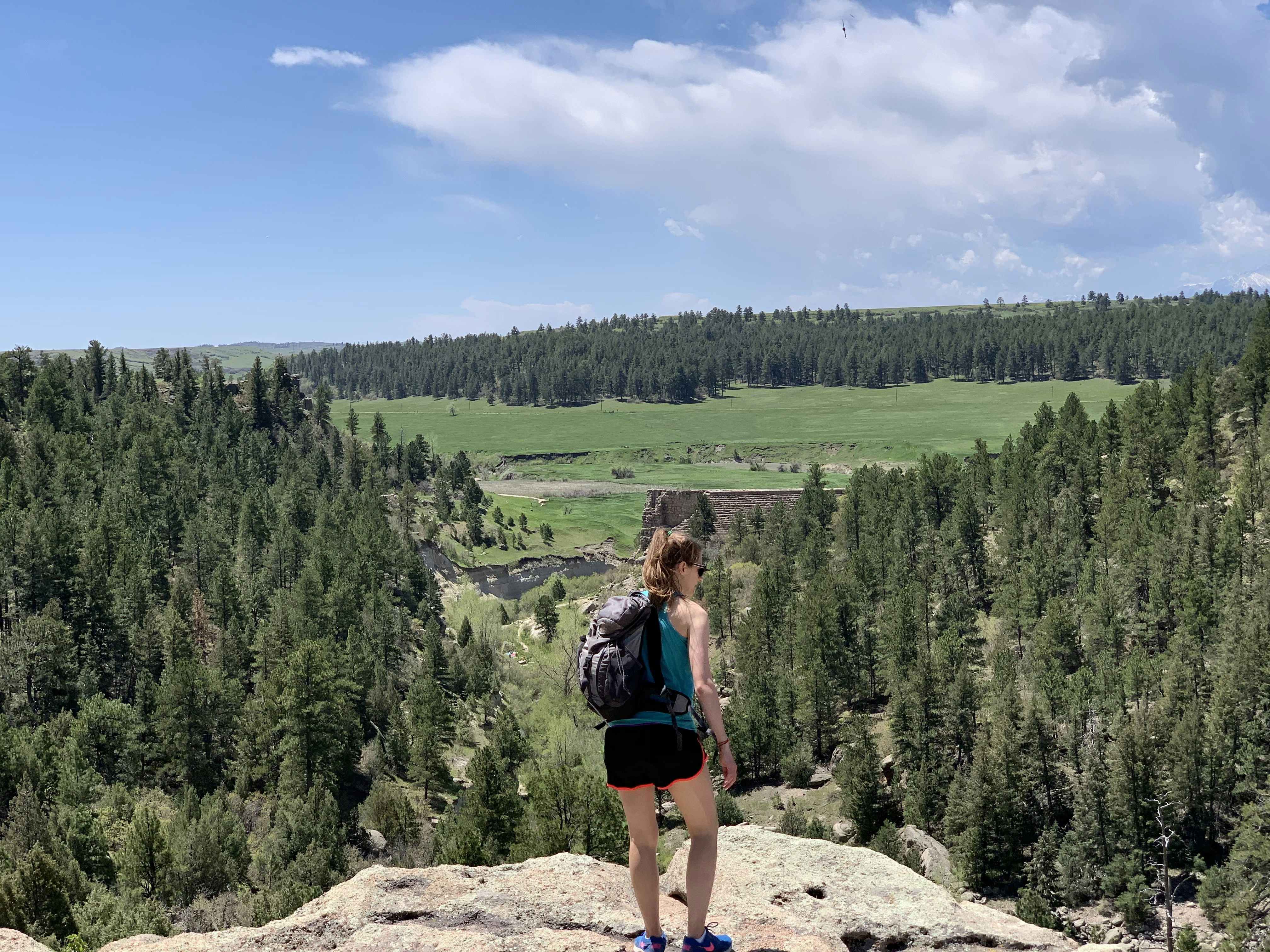 Mountain Vista and Wanderer