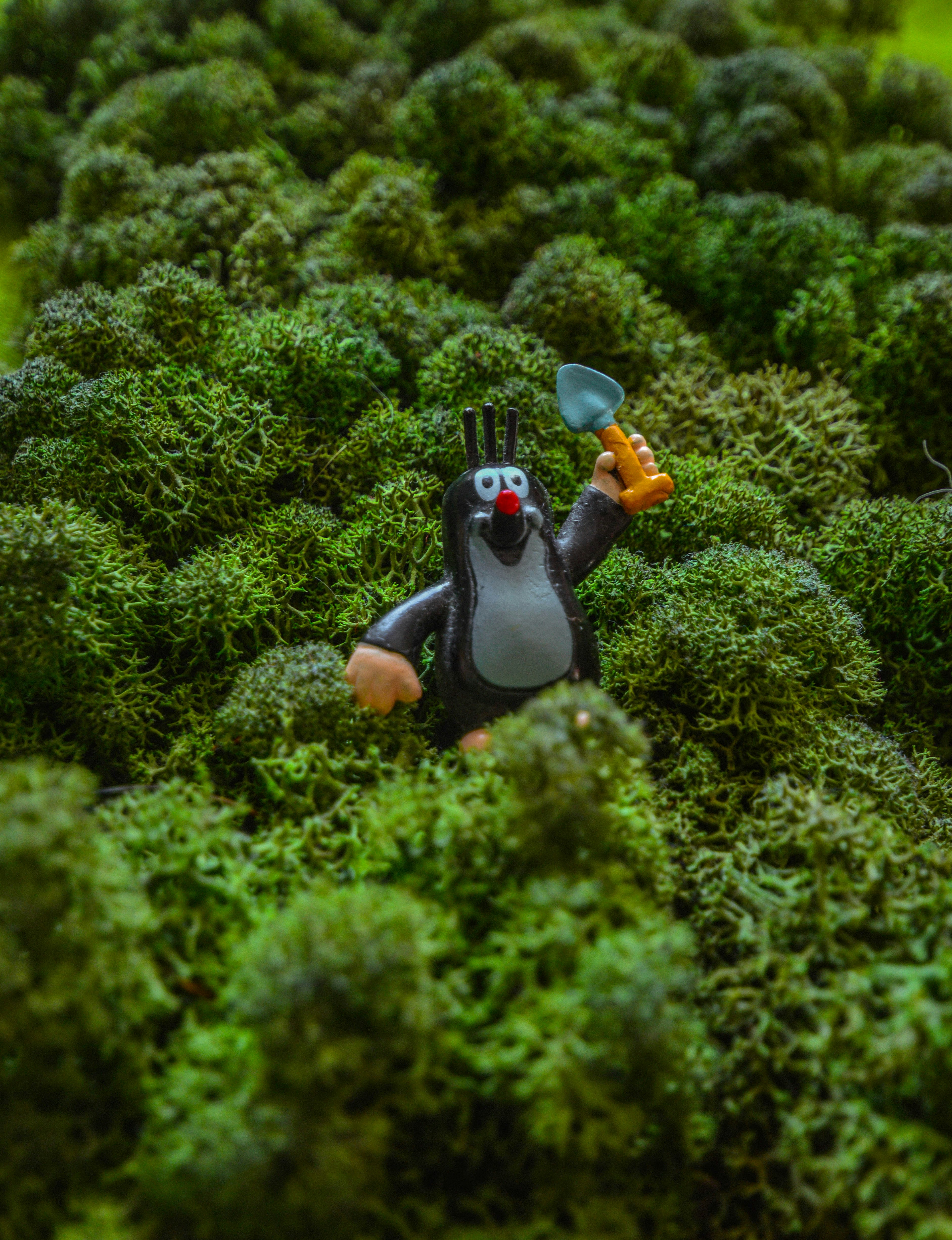 black and brown duck figurine on green grass during daytime
