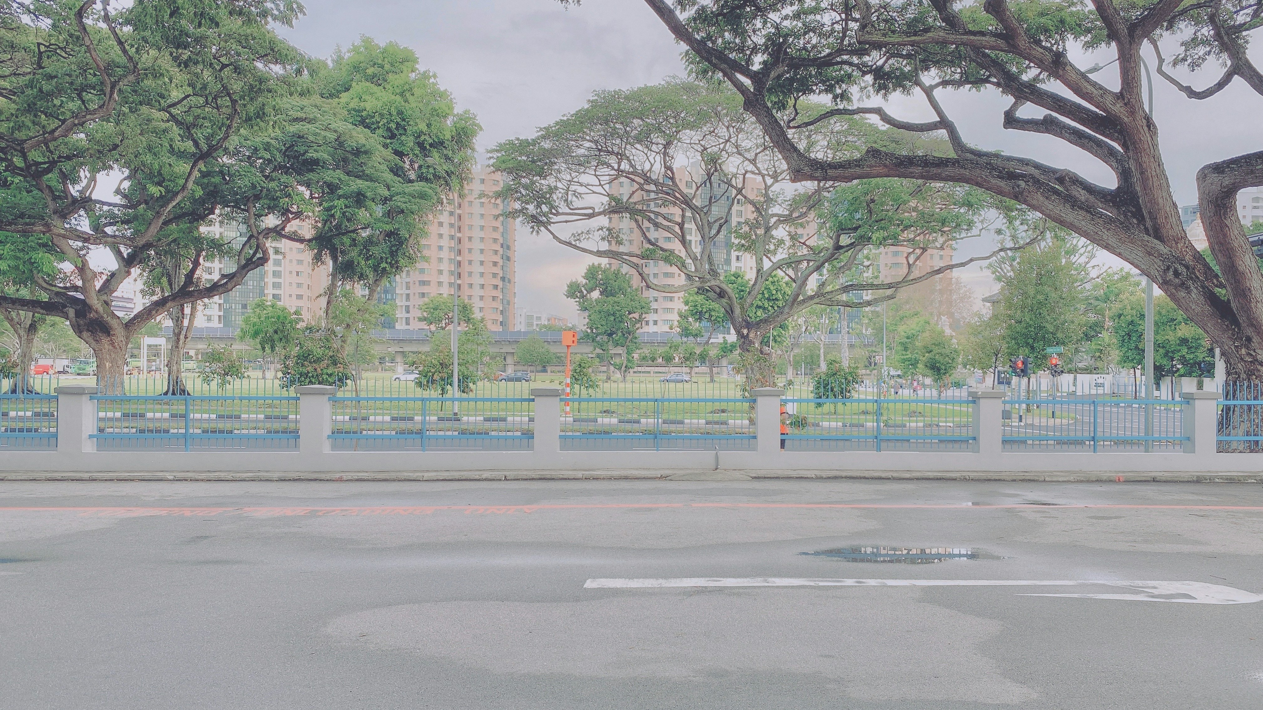 Lush trees frame a serene green park, contrasting with the surrounding urban landscape of high-rise buildings. People can be seen enjoying the open space.
