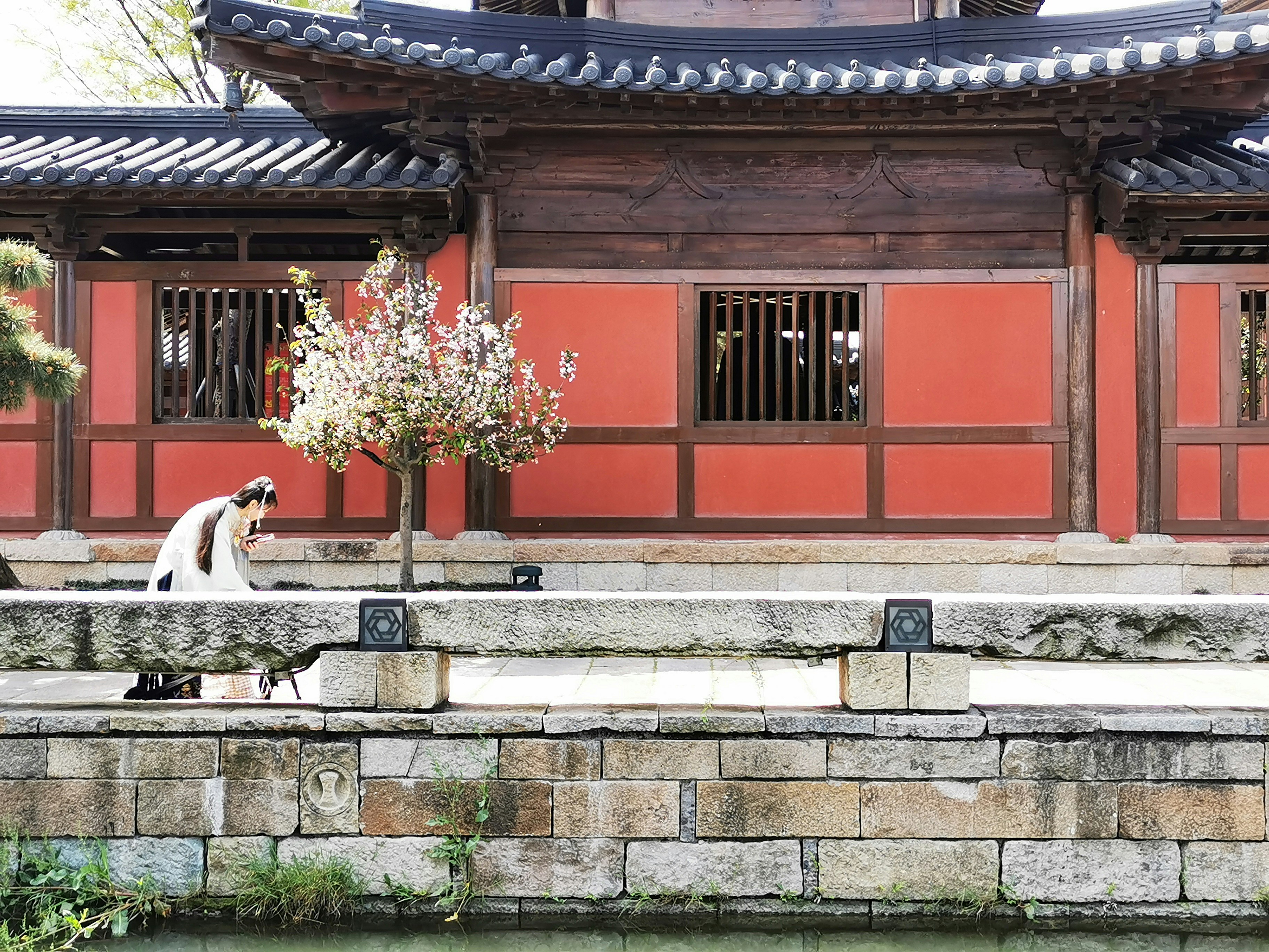 White-robed Solitude by a Crimson Temple Wall