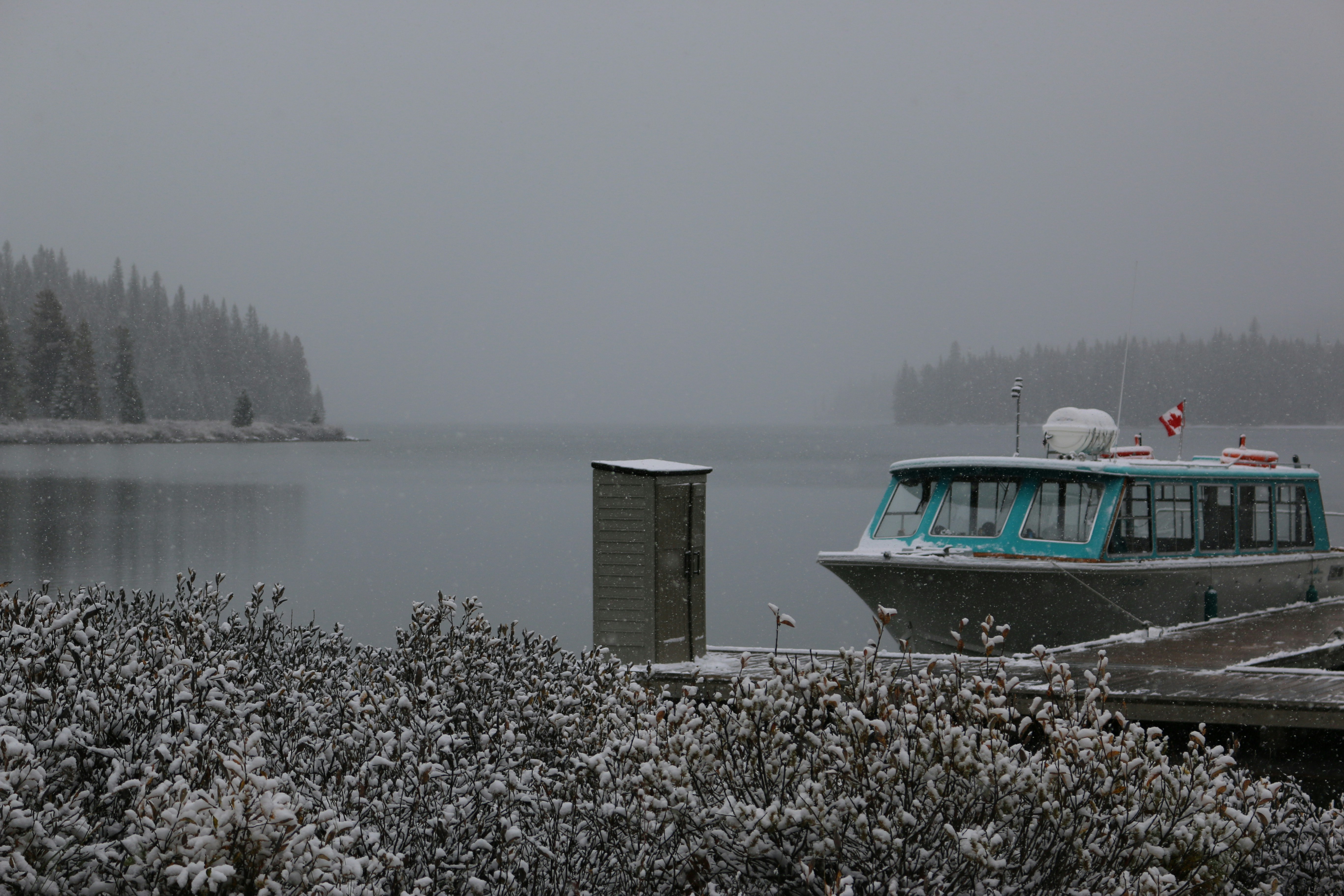 White and blue boat on sea during daytime photo – Free Grey Image on ...