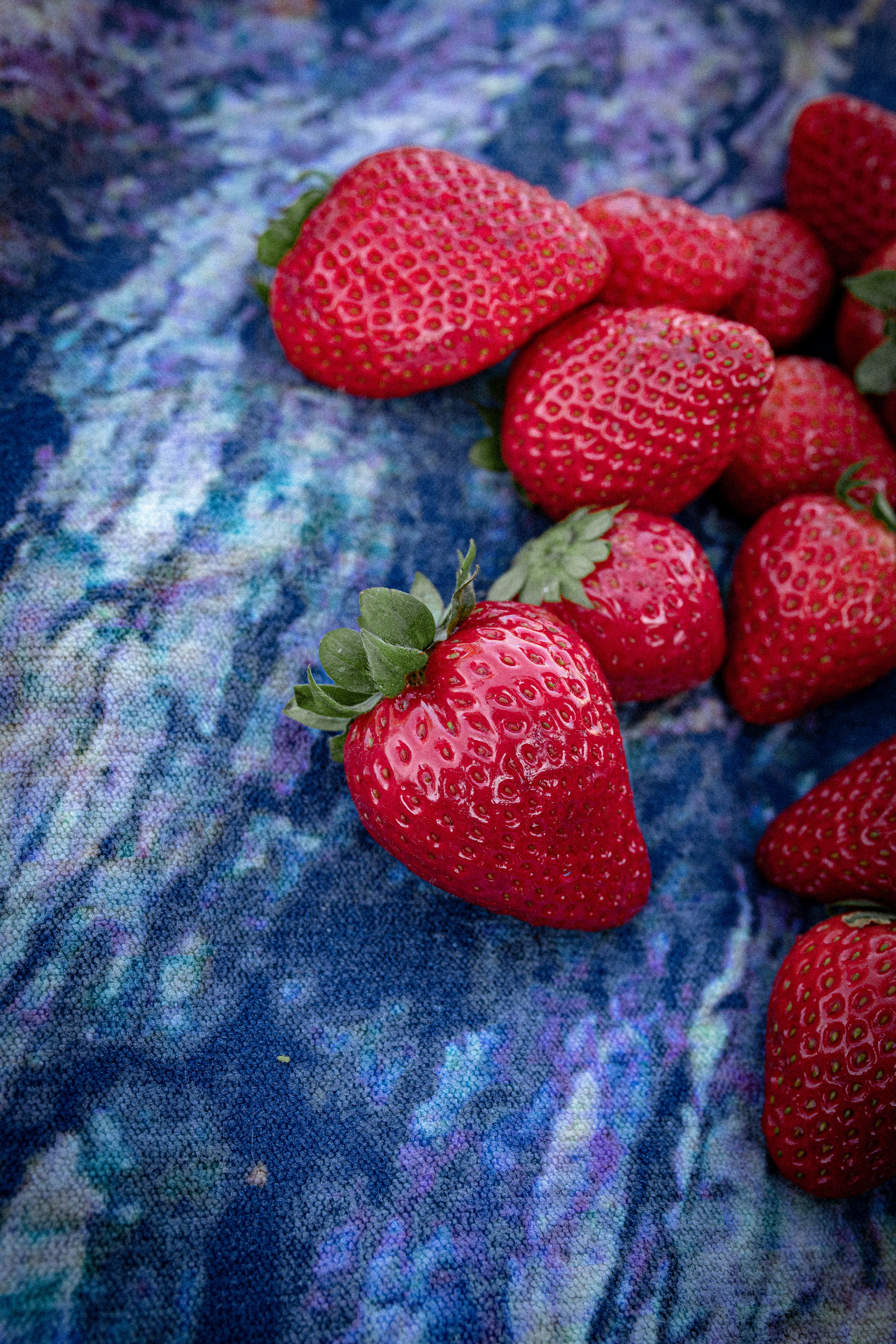 Fraises rouges sur textile bleu et blanc photo – Photo Fraise Gratuite sur Unsplash