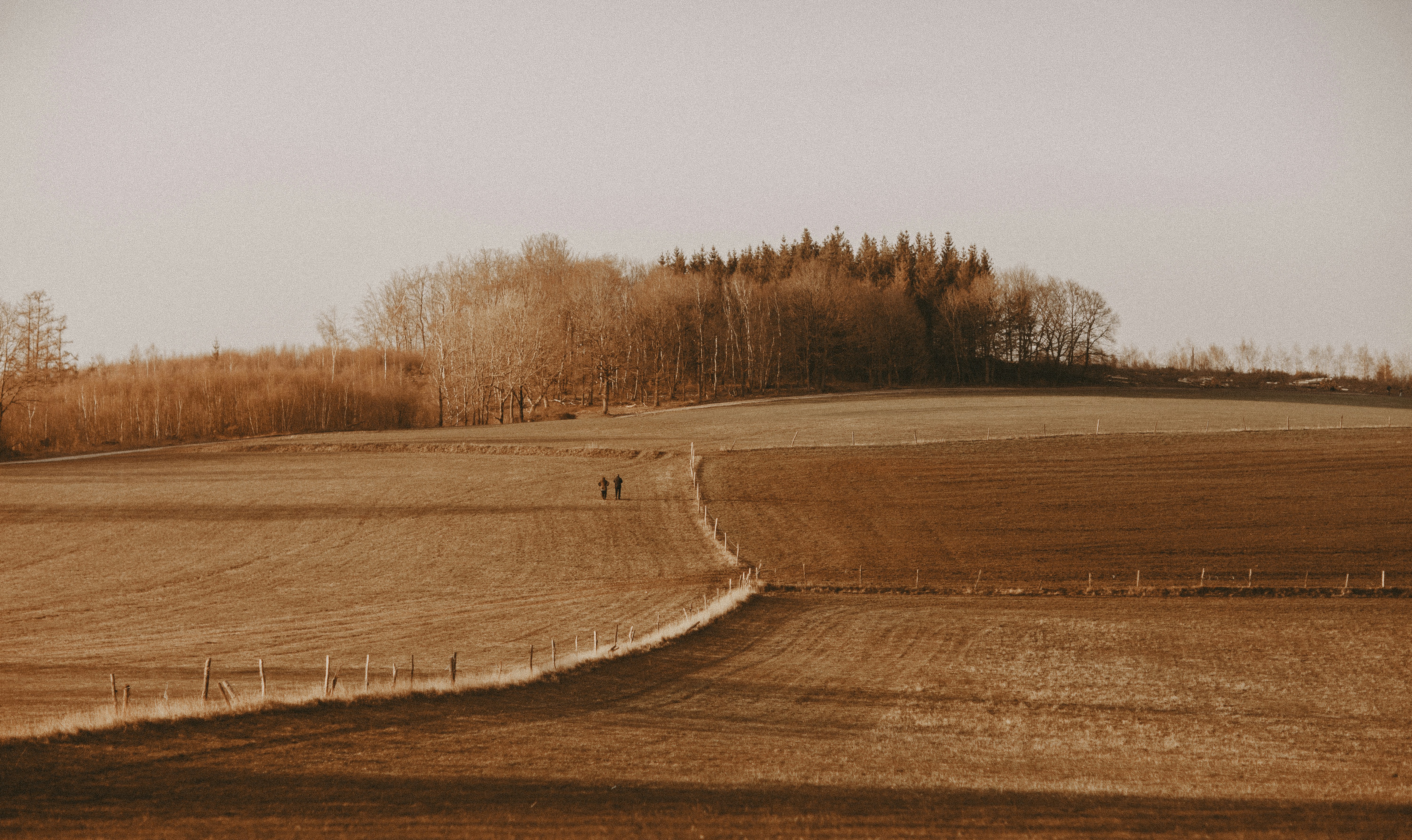 Two figures walking along a winding path through a serene, autumnal landscape with rolling fields and a distant forest.