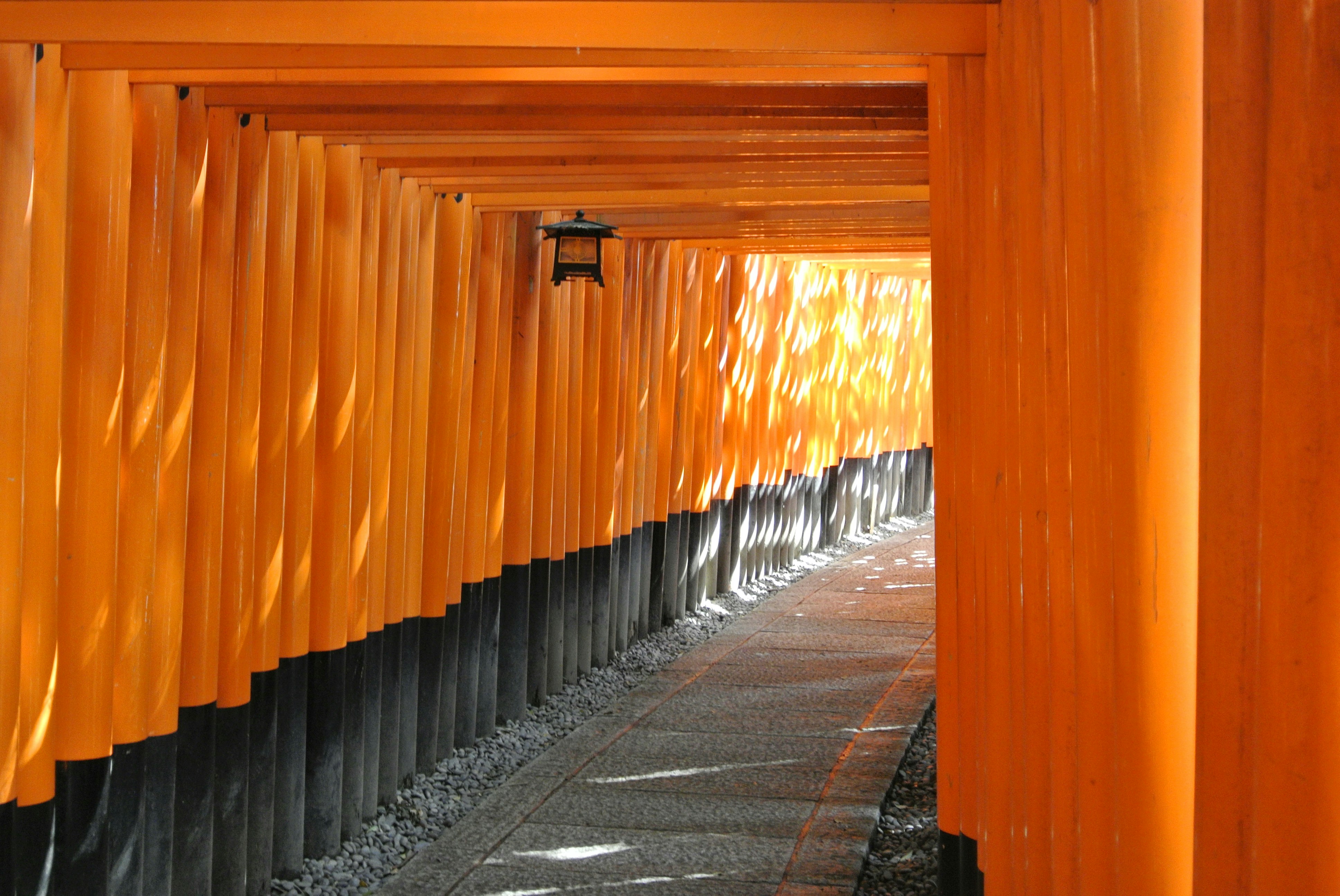 Sunlit corridor of vibrant orange torii gates casting intricate shadows on the path.