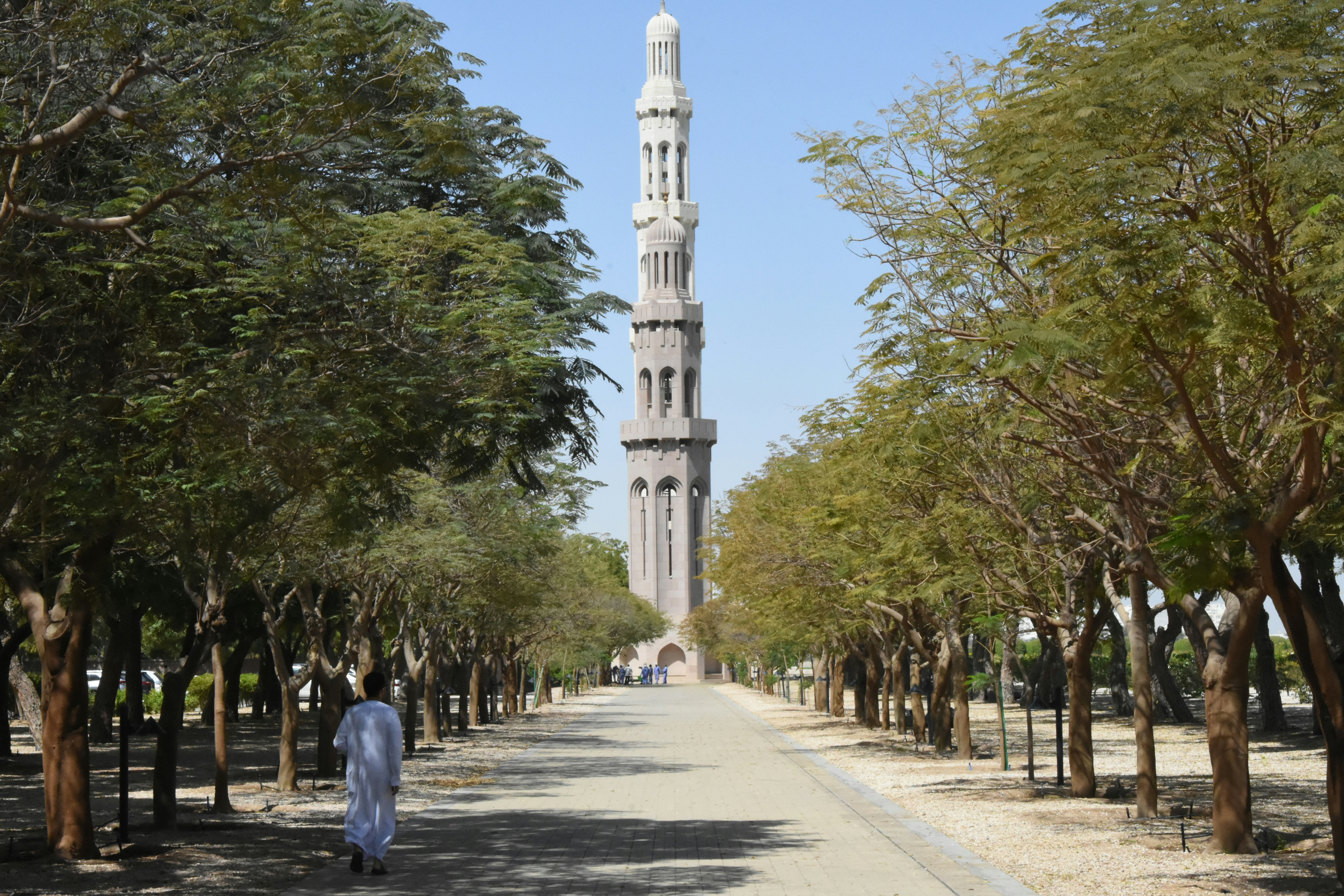 Christian Egli (@socialegli) | Unsplashフォトコミュニティ