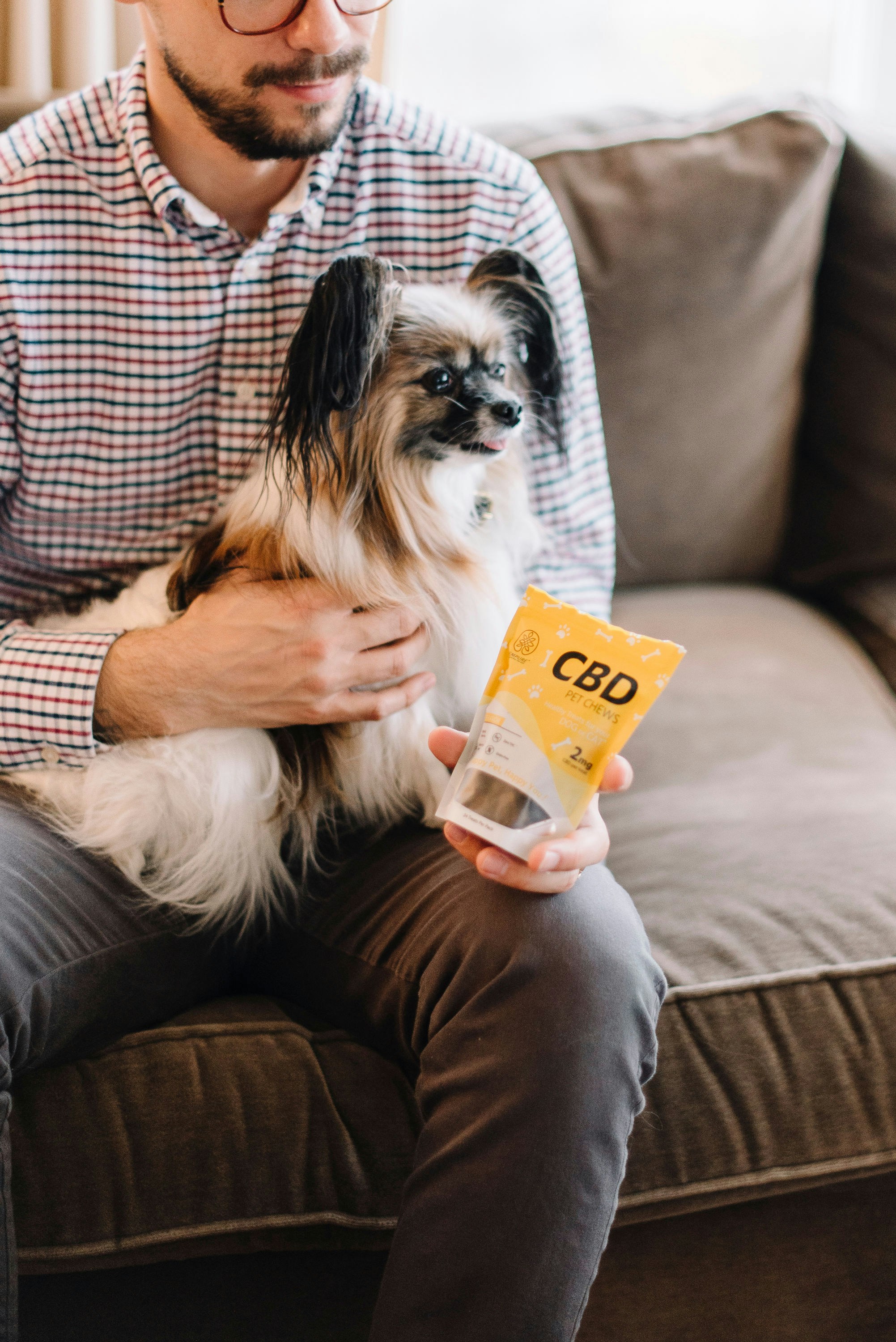 Beside-the-Curated Snack: A Closer Look at Bond and CBD