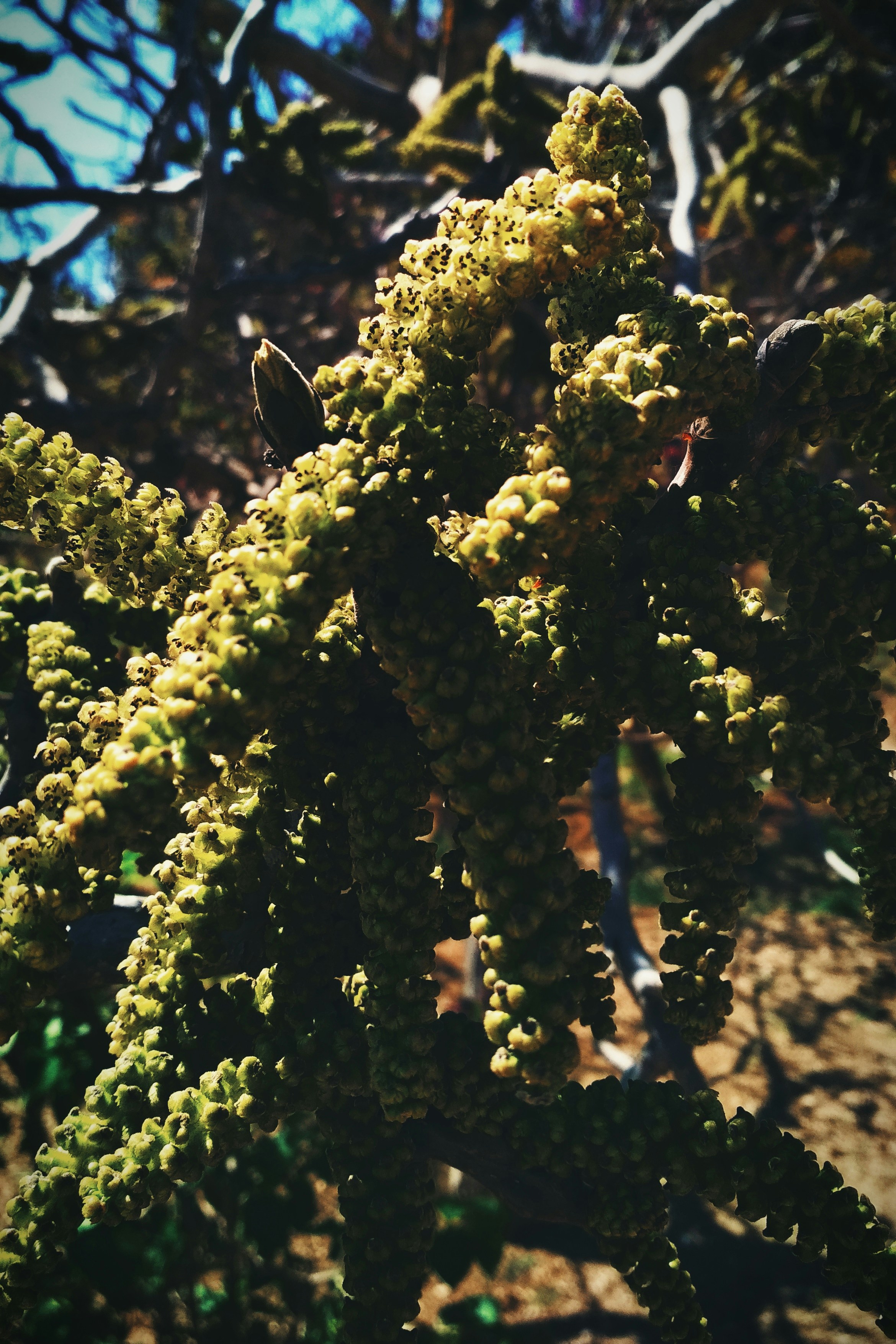 Alex Chernenko (@achernenko) | Unsplash Photo Community