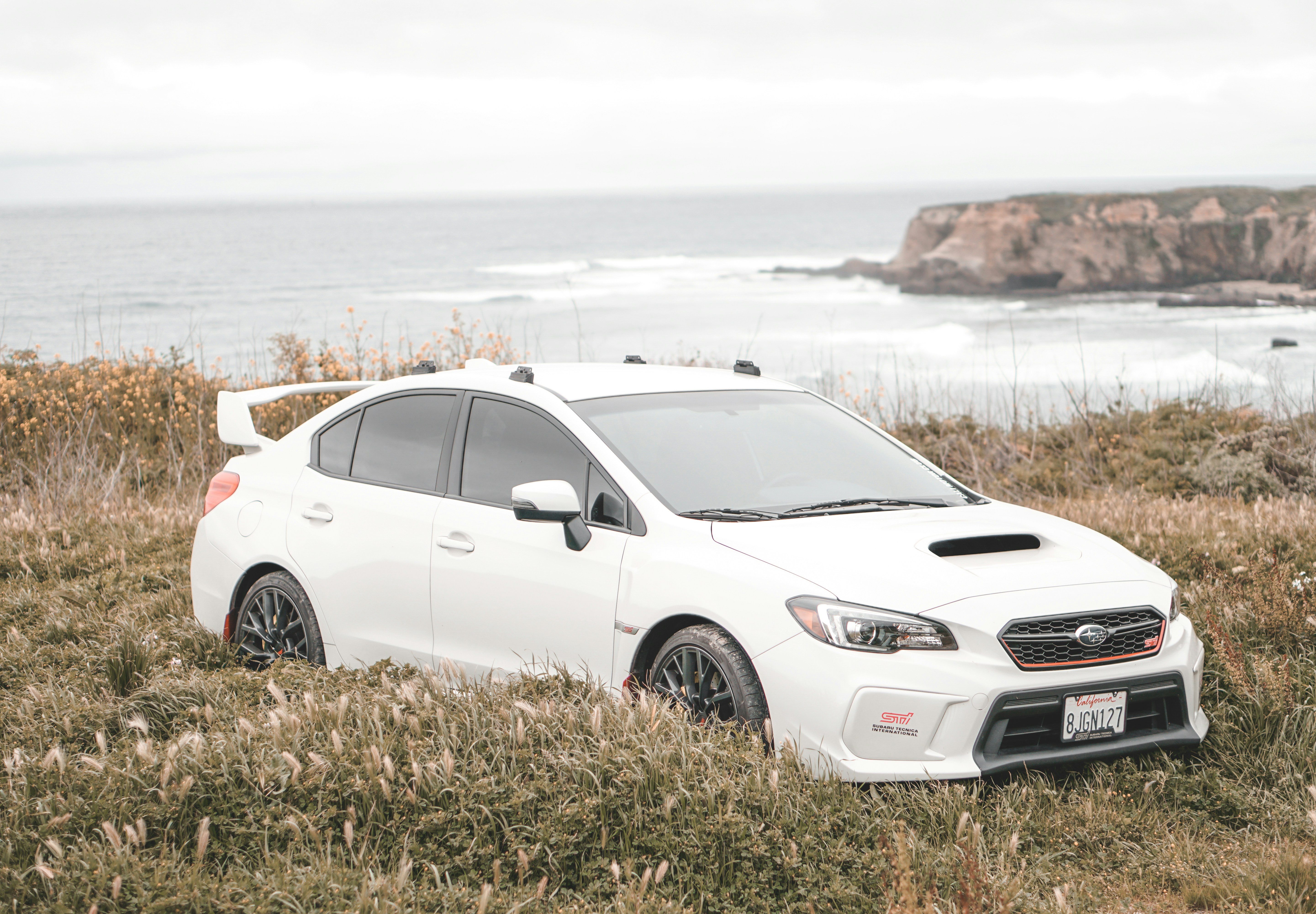 Windswept Bluff: White Subaru framed by sea and grass