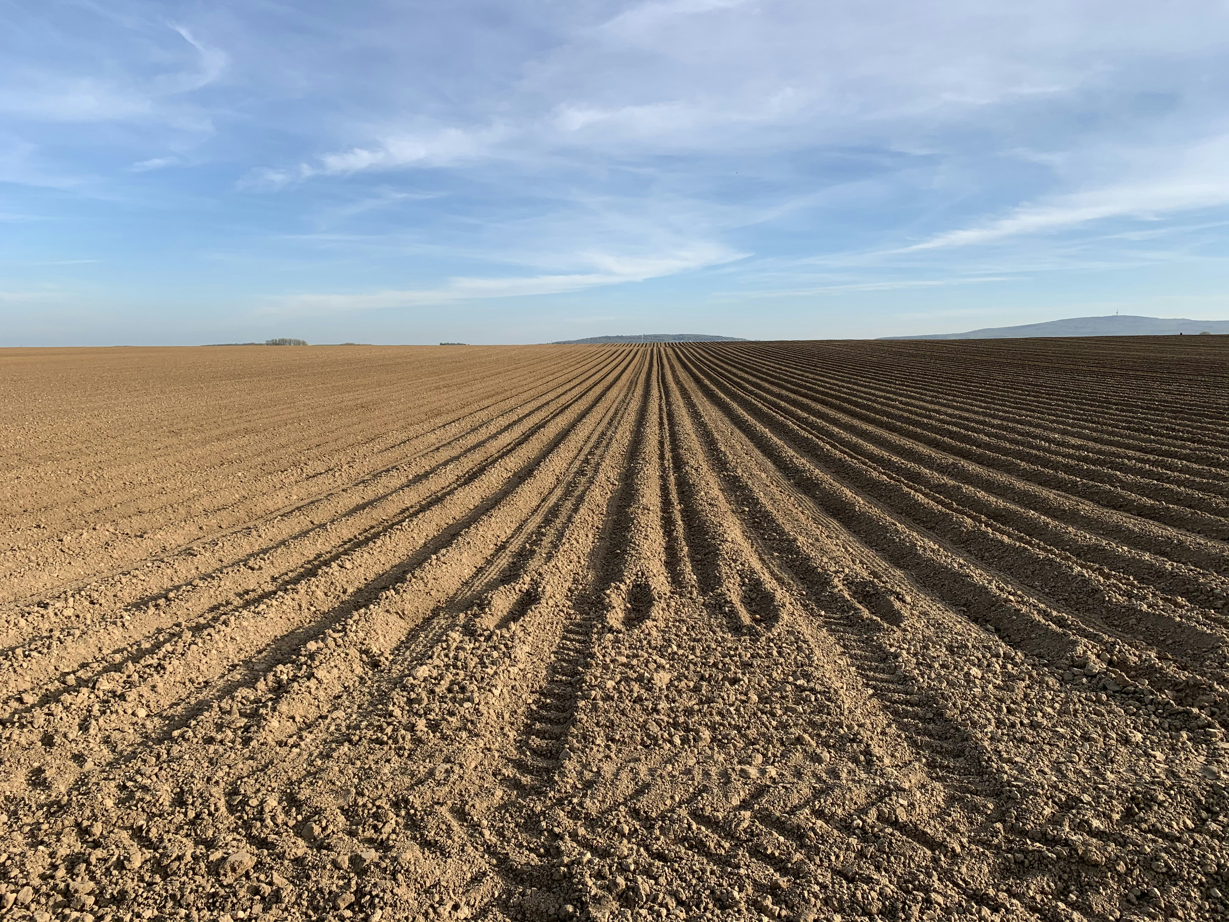 Parallel lines of a freshly plowed field stretch toward the horizon under a blue sky with wispy clouds.