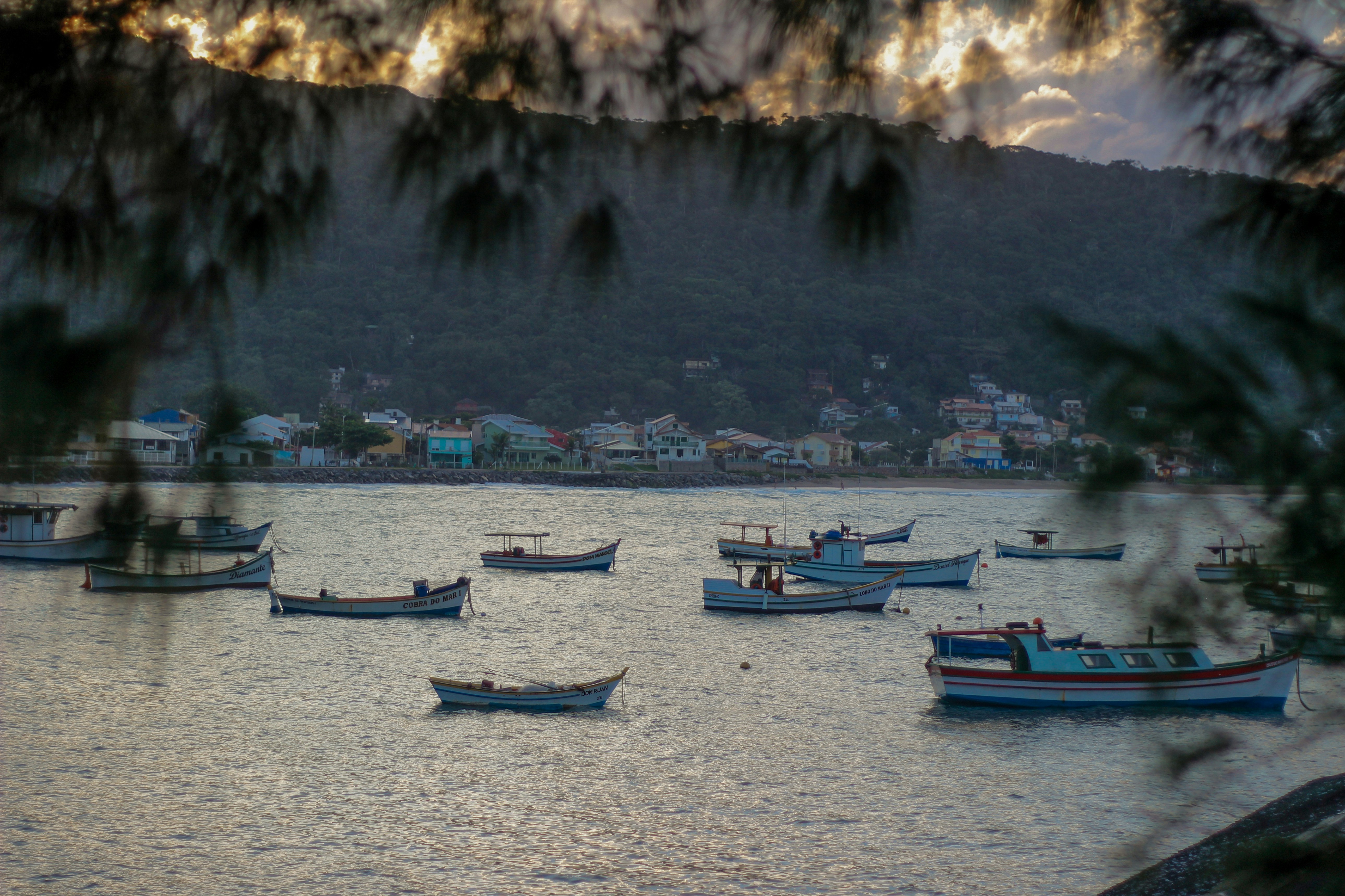 Fishing boats rest on calm waters under a darkening sky, framed by silhouetted foliage.