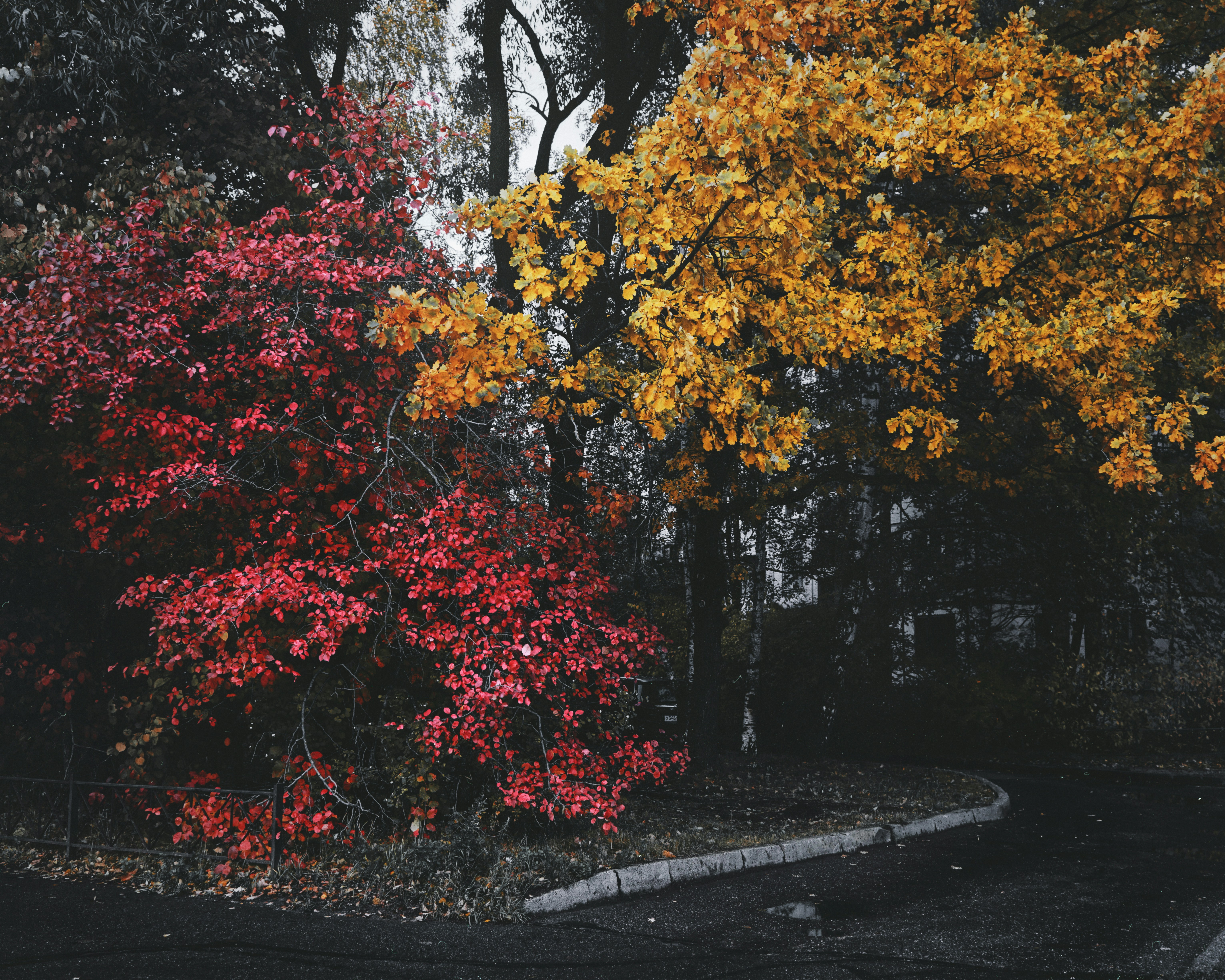 Autumn Pfp Aesthetic Pictures | Download Free Images on Unsplash