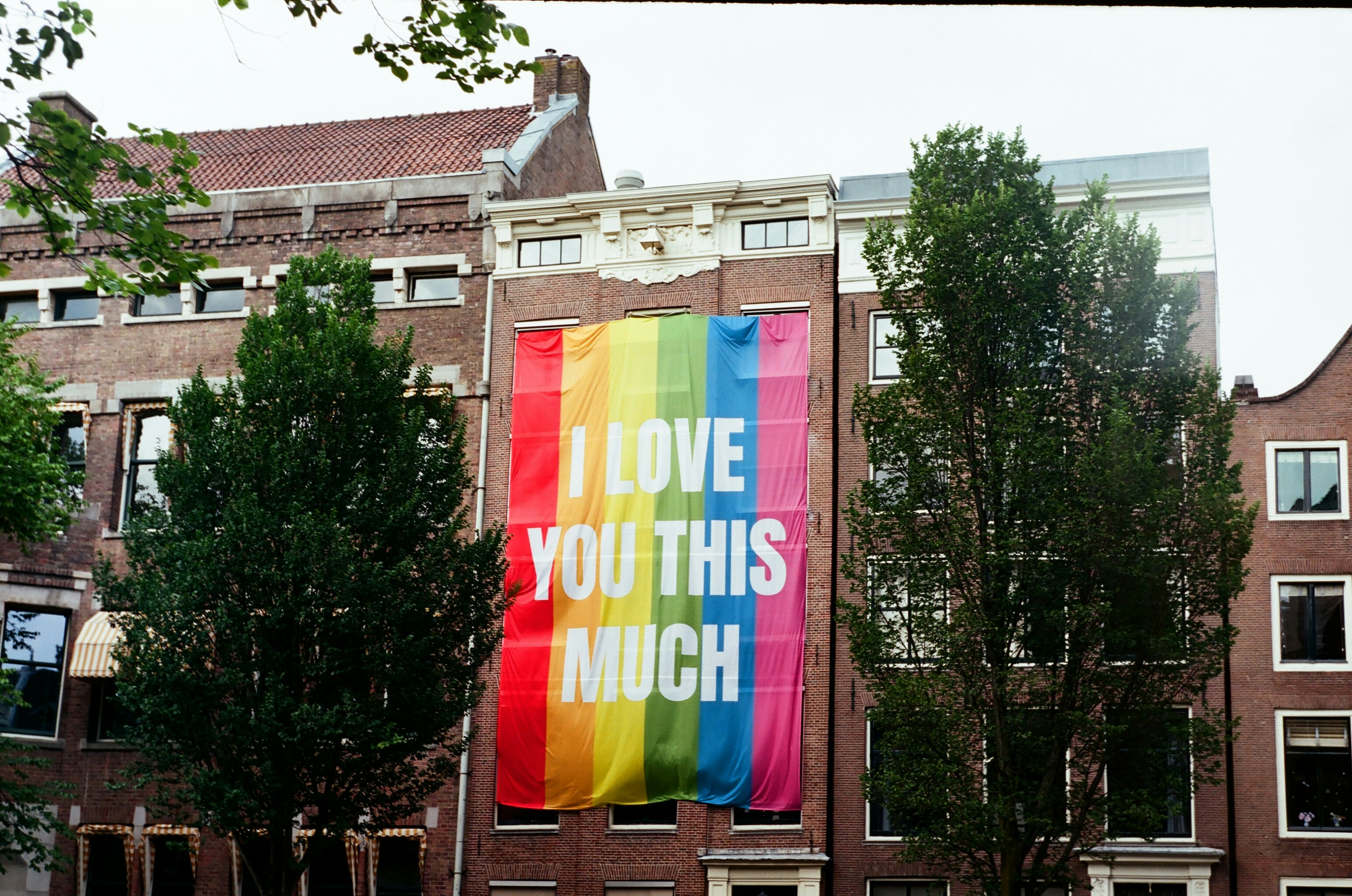 A large rainbow flag that says i love you this much photo – Free Text ...