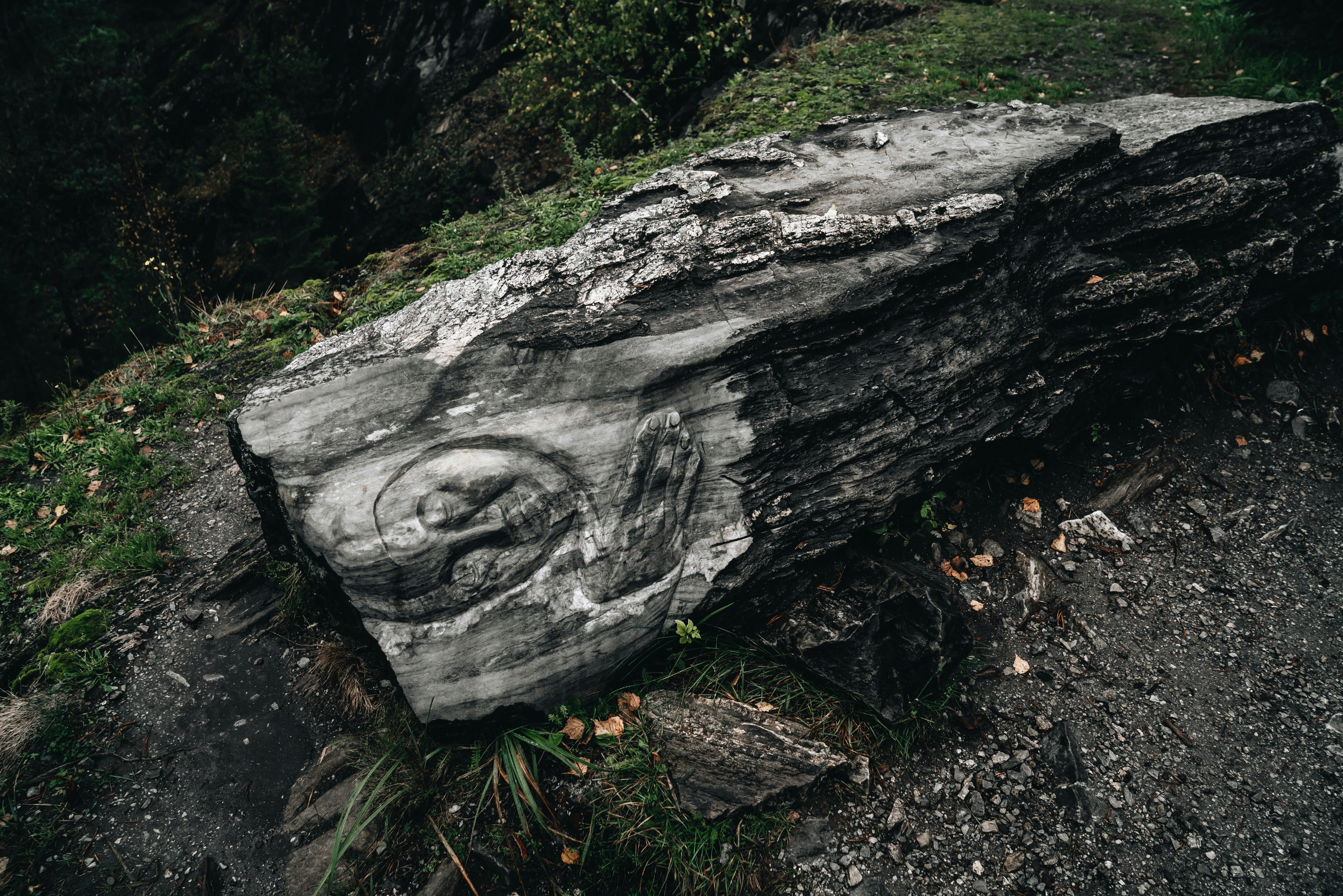 Time-Worn Spiral on Forest Rock