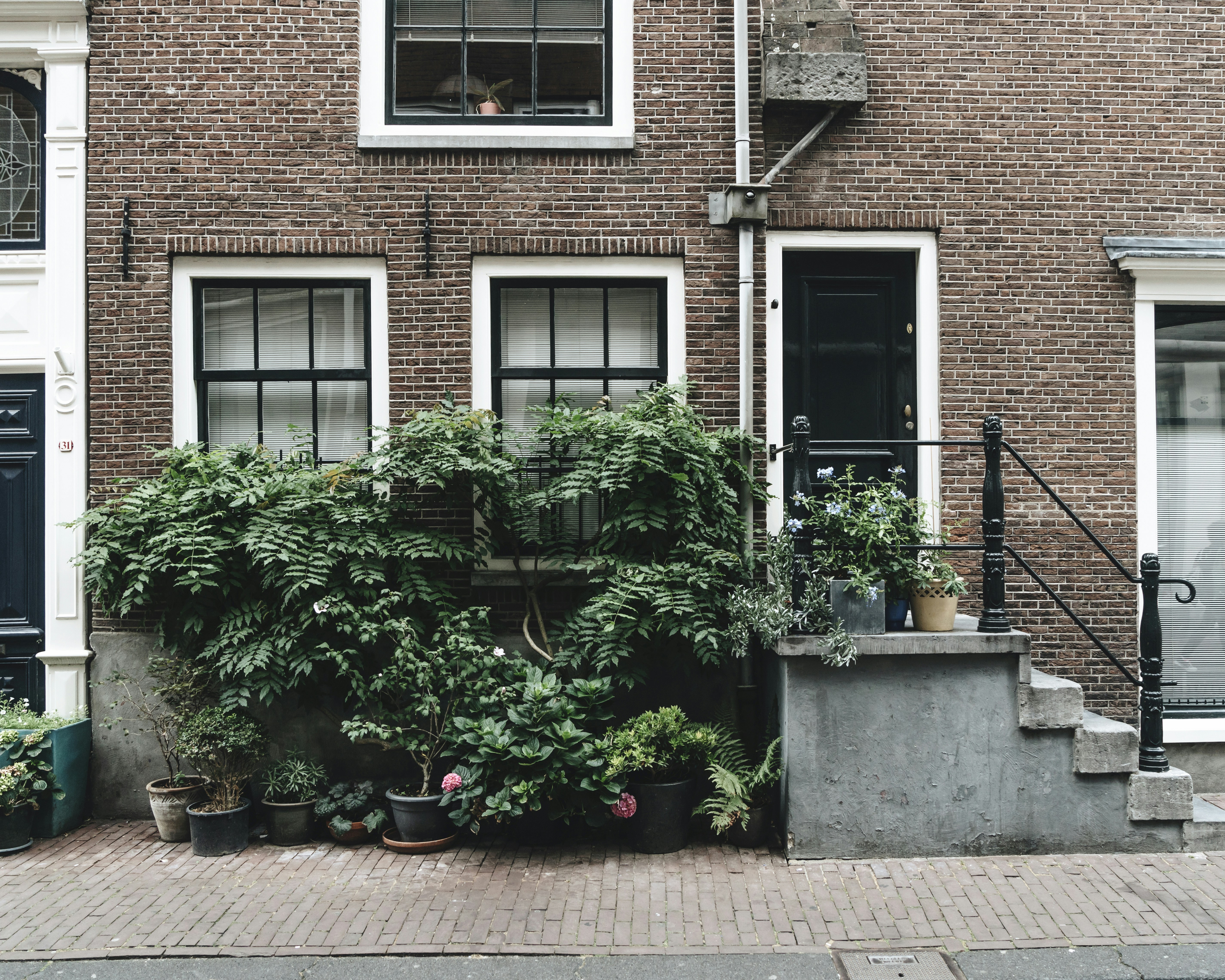 Urban Greenery Adorns a Brick Façade