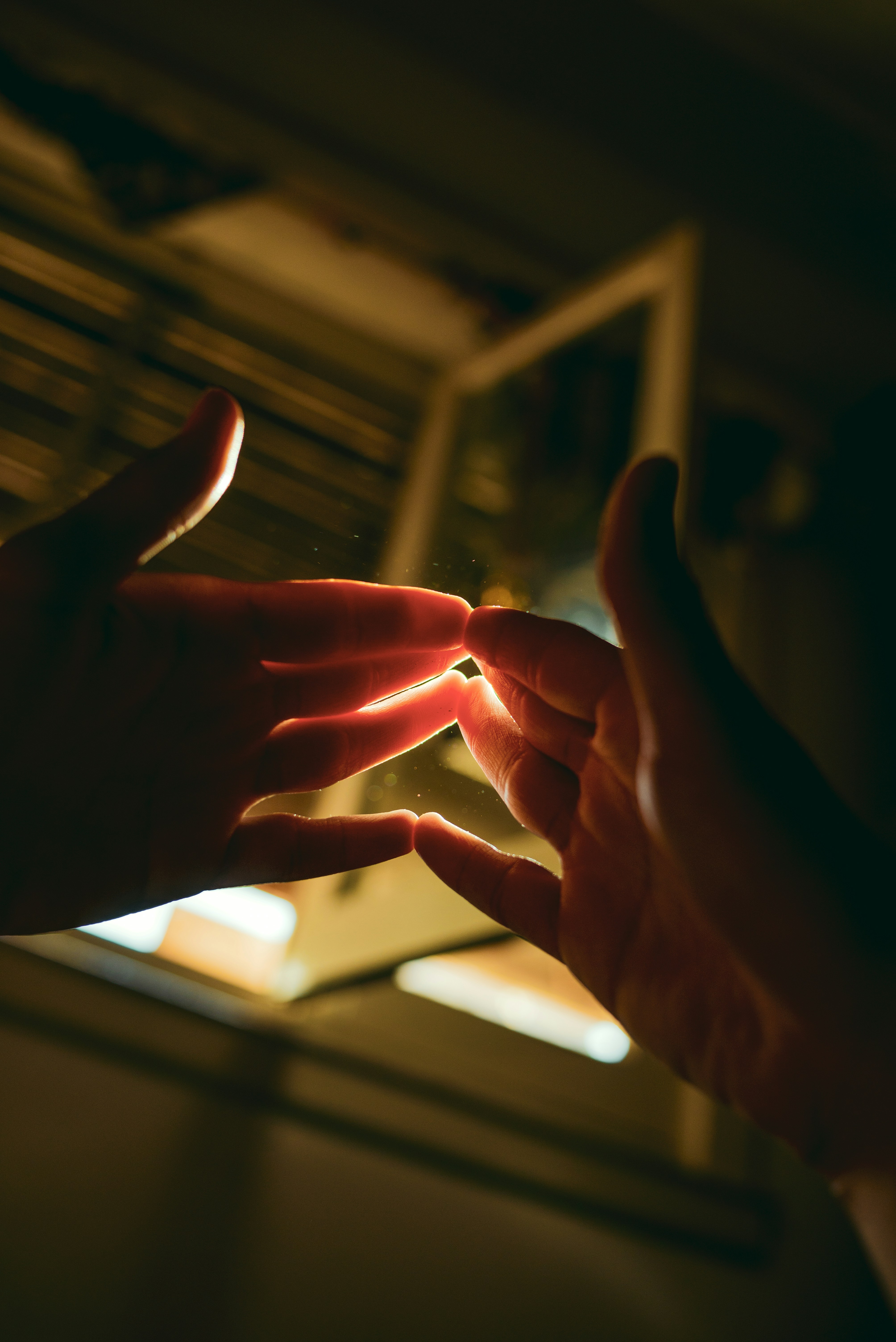 Persons hand with heart shape photo – Free Human Image on Unsplash
