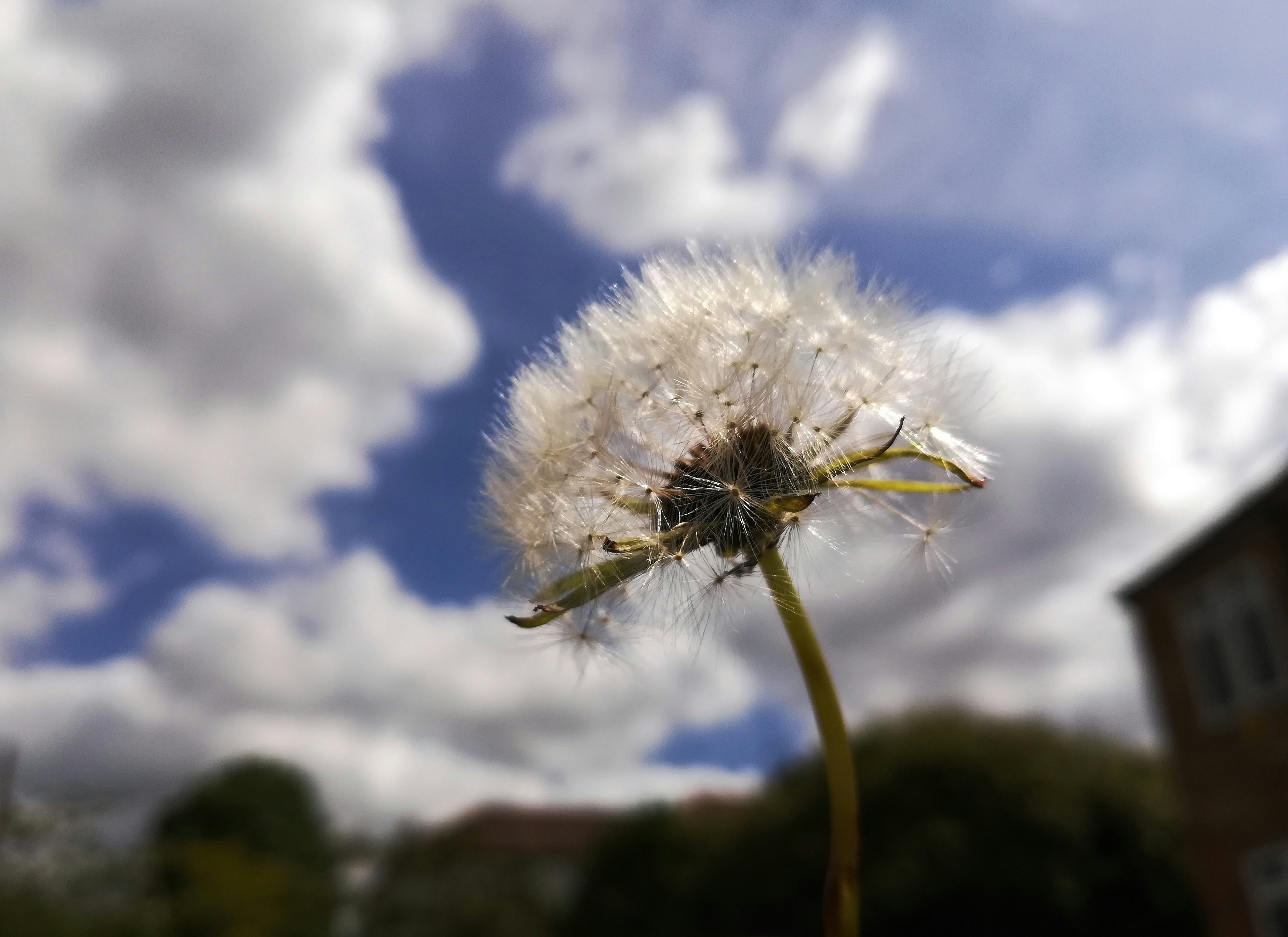 inspira studio (@studioinspira) | Unsplash 사진 커뮤니티