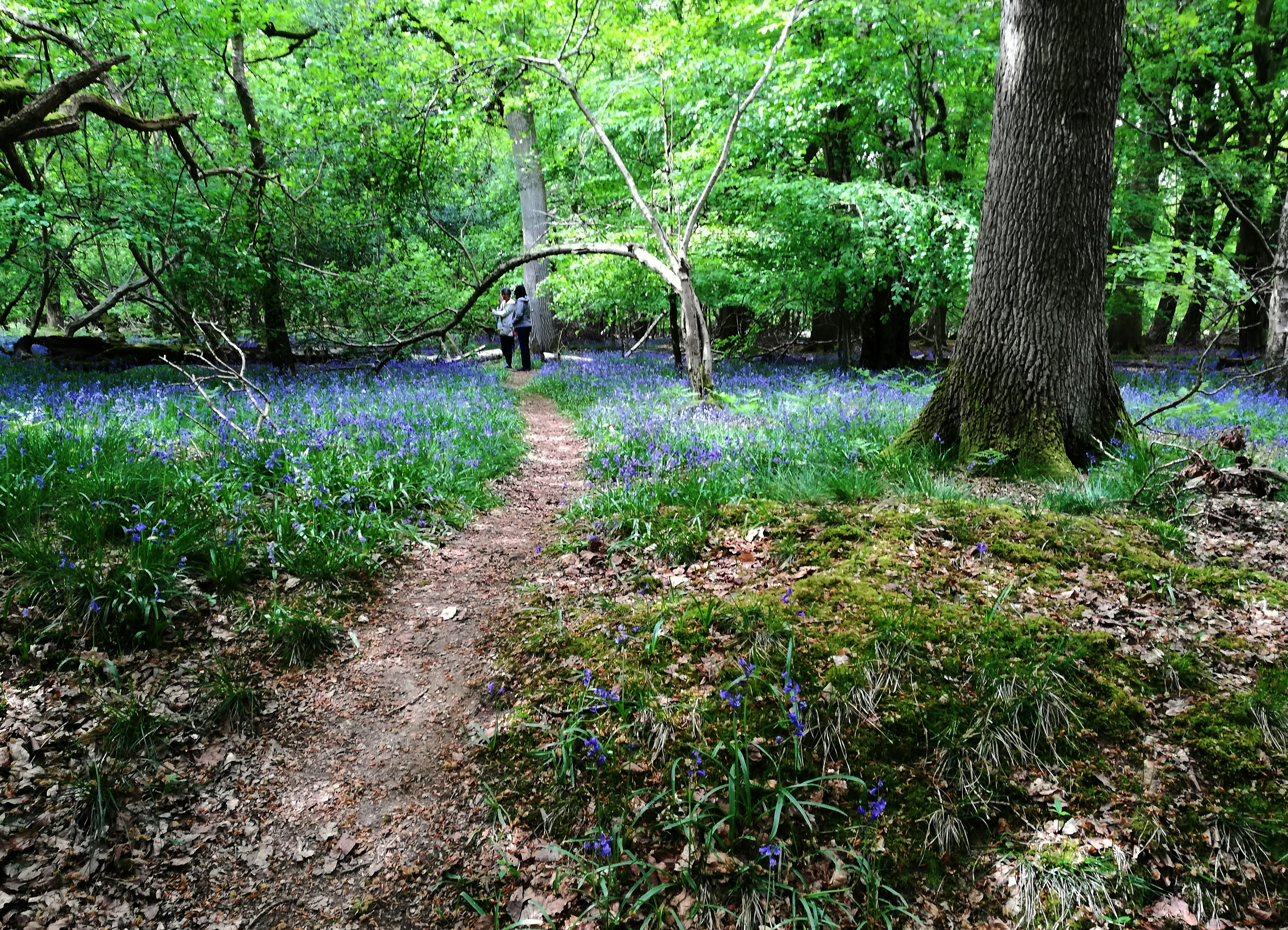 inspira studio (@studioinspira) | Unsplash 사진 커뮤니티