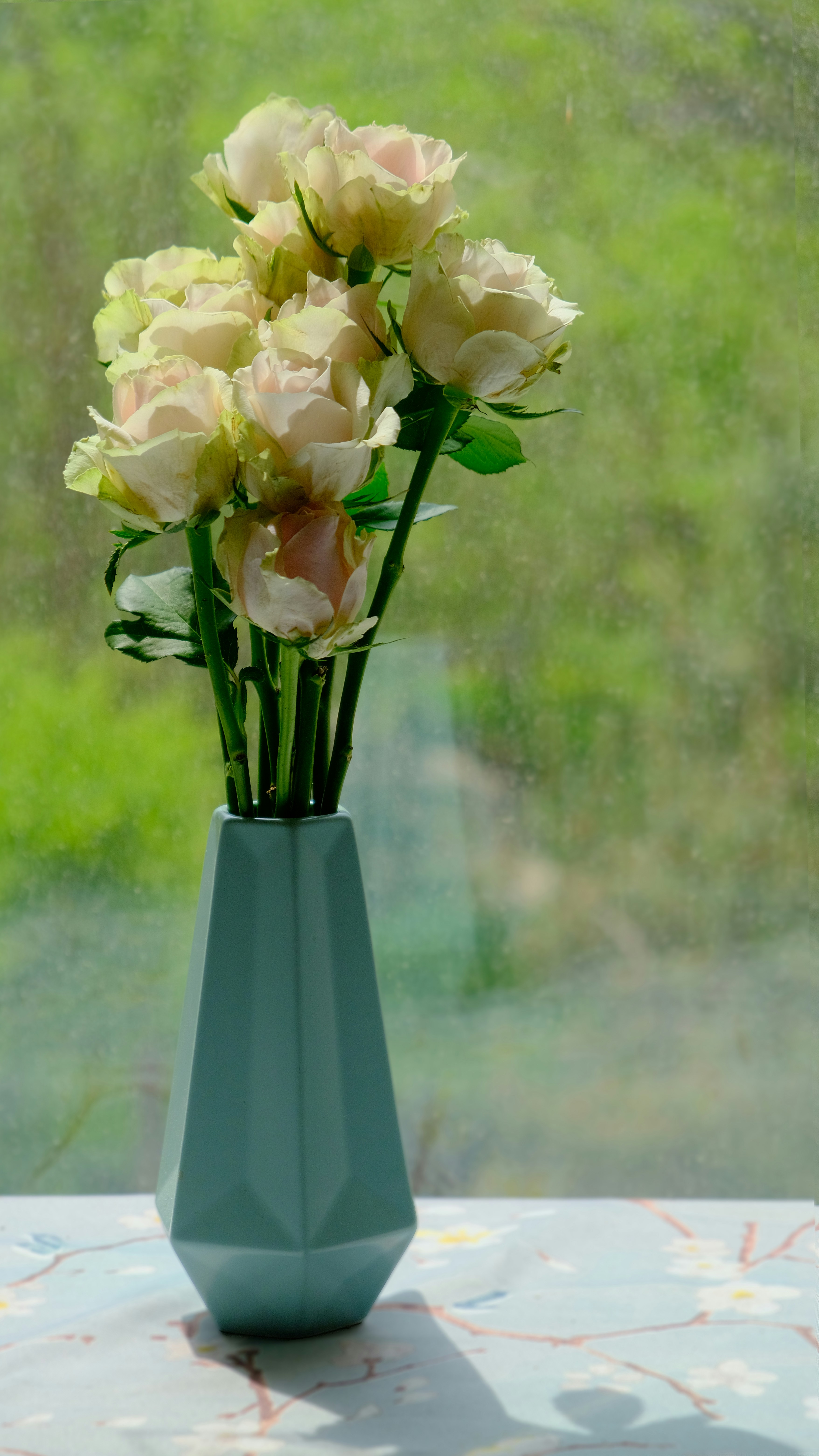 Geometric Vase, Soft Roses in Window Light