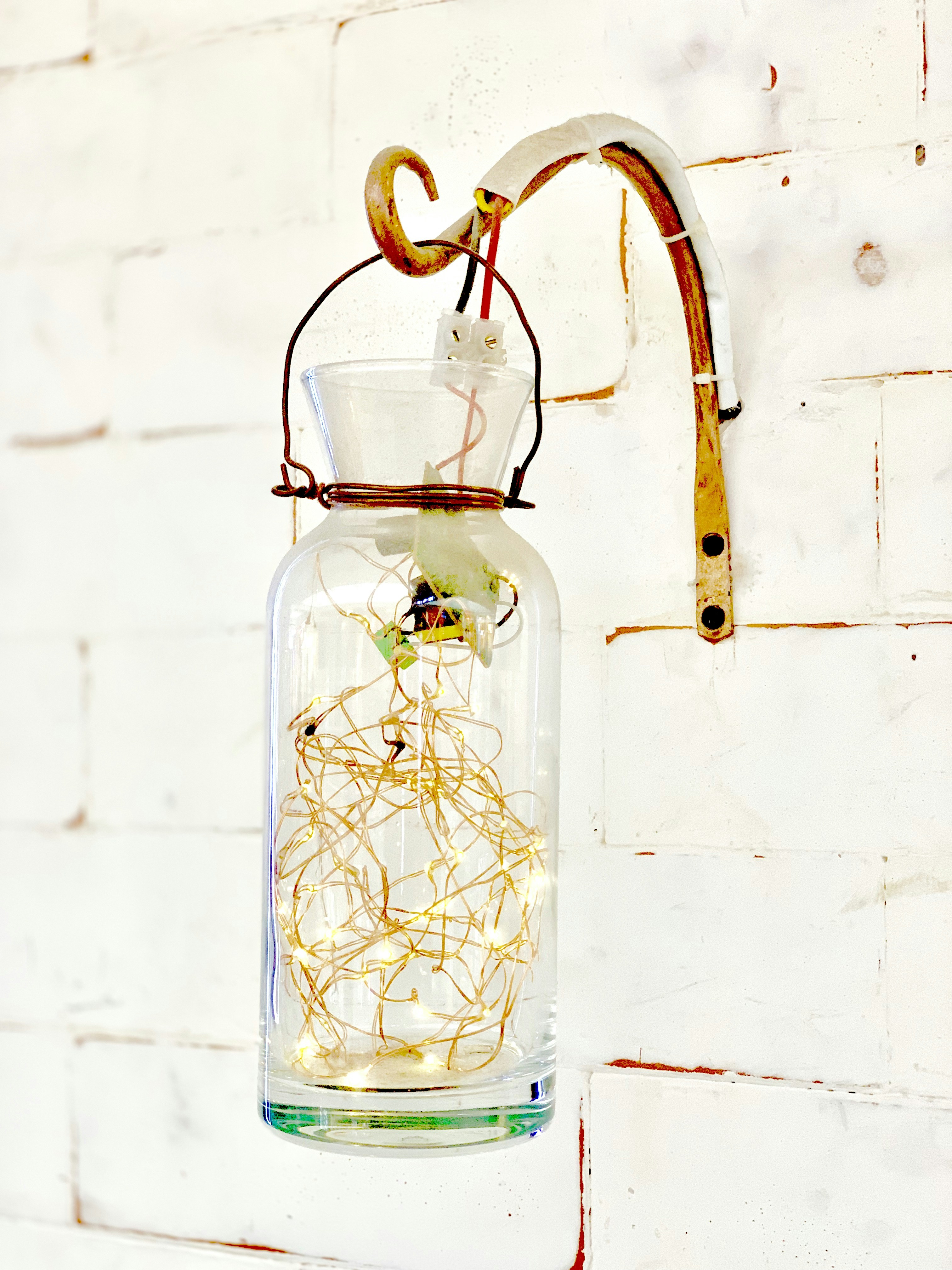 Rust, Glass, and Roots: A Hanging Still Life on White Brick