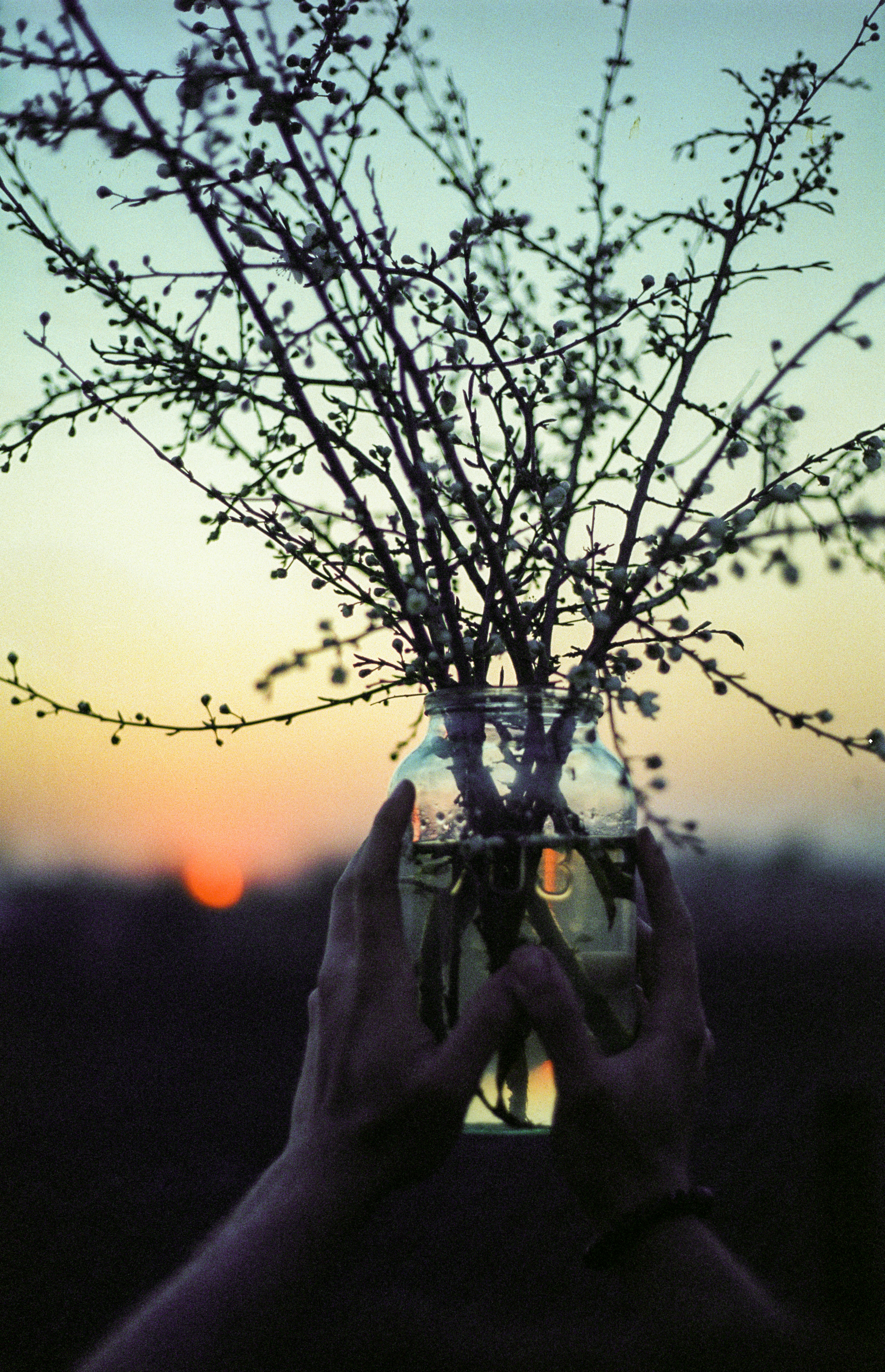 Awesome Tumblr Photography