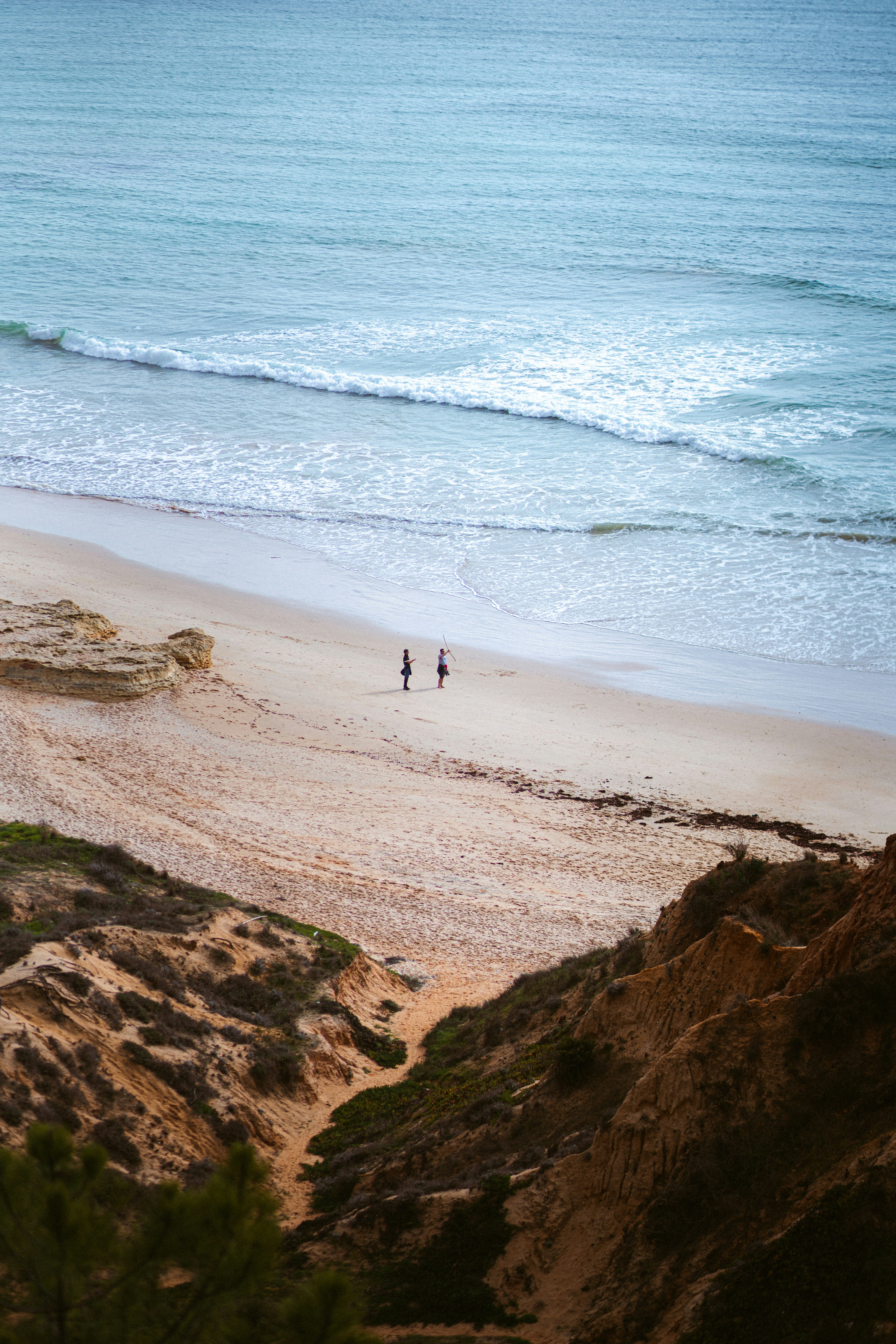 Animate Test – Lana Shabdeen