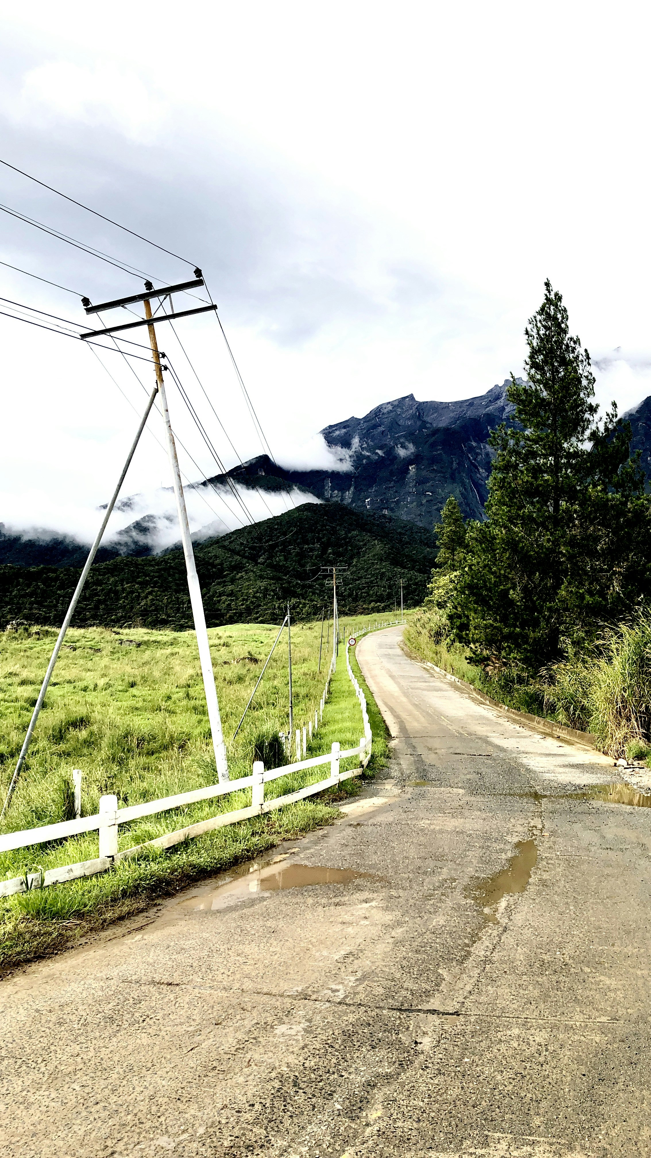 Tilting power poles line a winding rural road toward misty peaks
