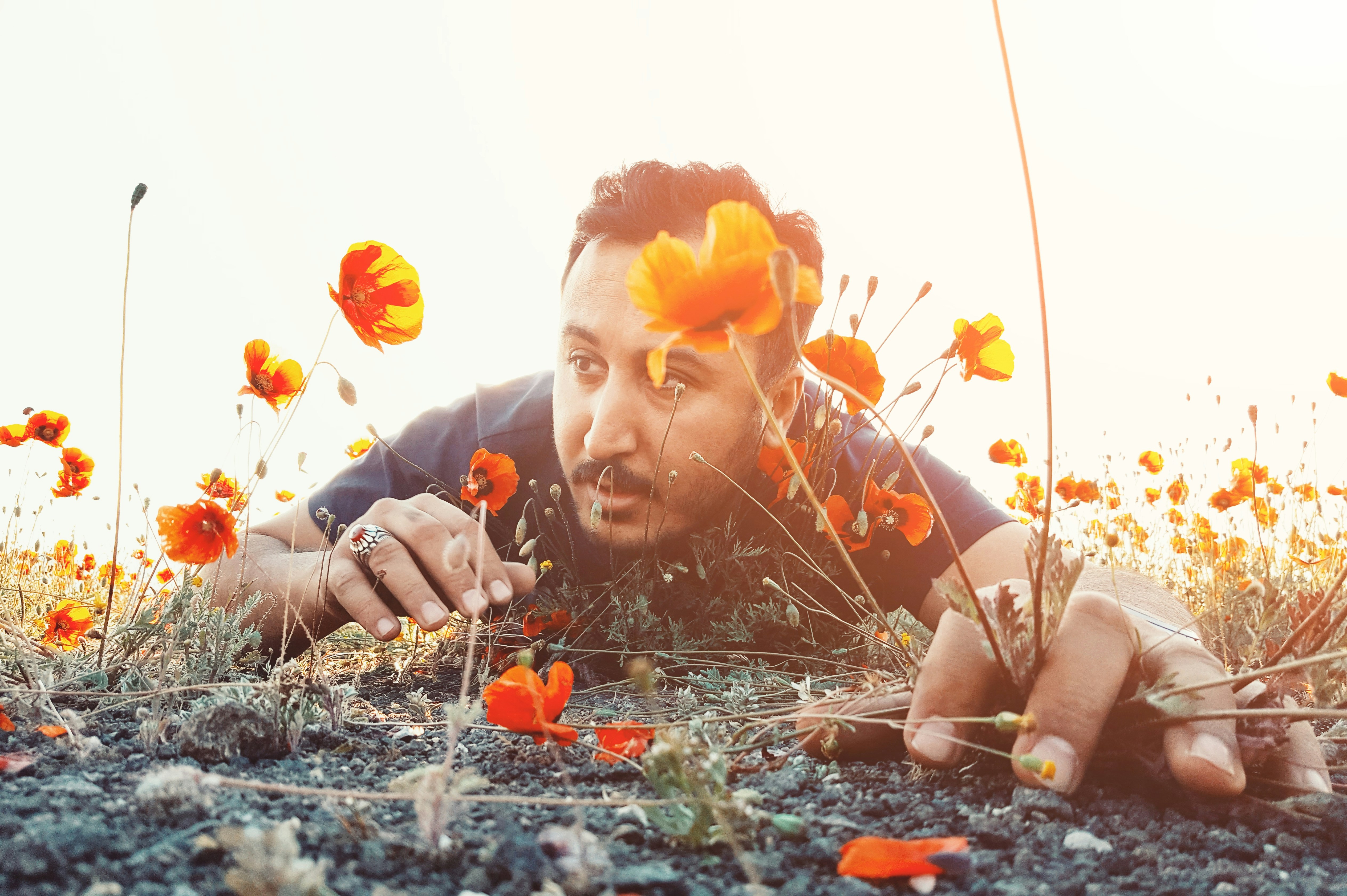 A person lies among vibrant orange flowers, reaching out as sunlight bathes the scene in a warm glow. The composition highlights the delicate interaction between humanity and nature.