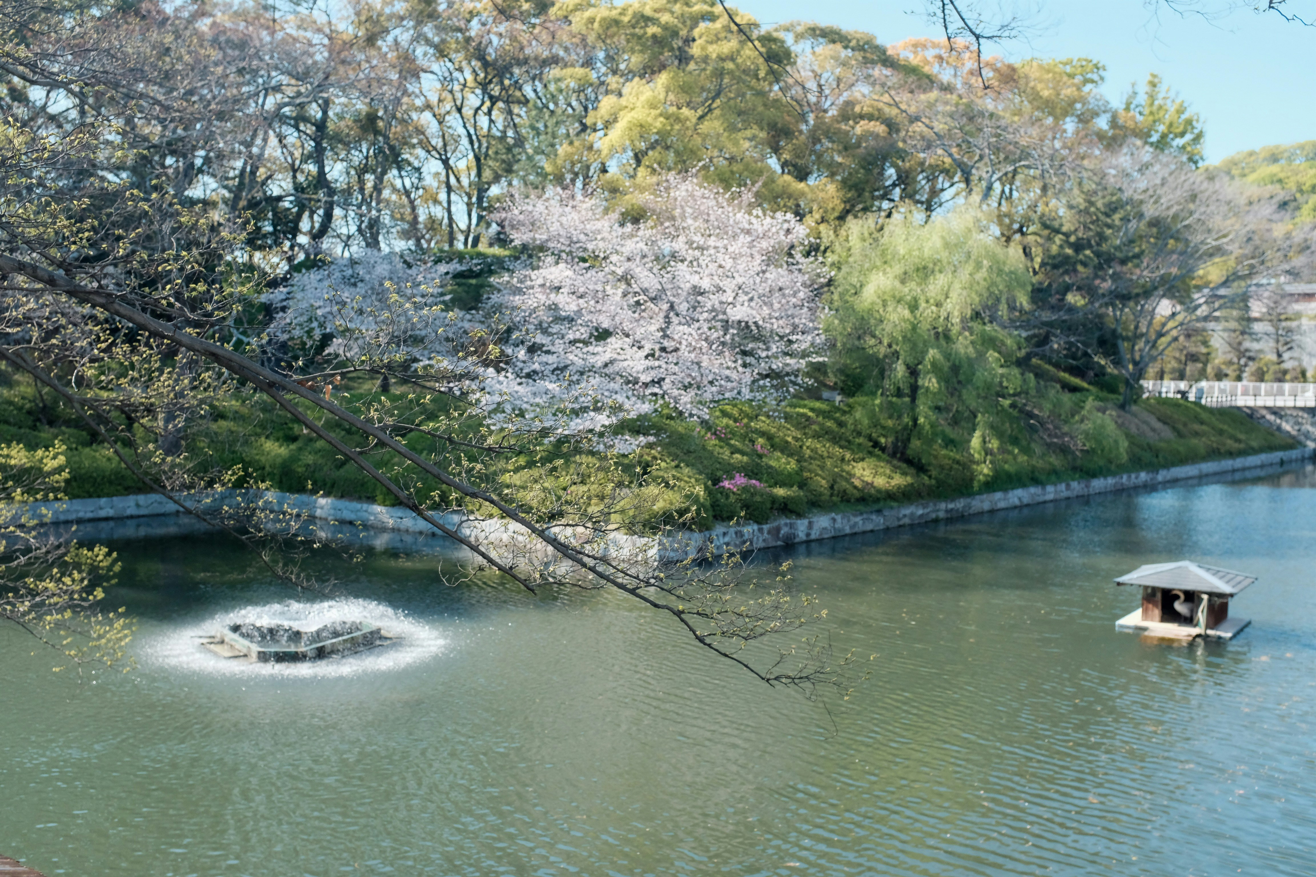 Quiet Aquatic Corridor: Blossoms, a Fountain, and a Floating Teahouse