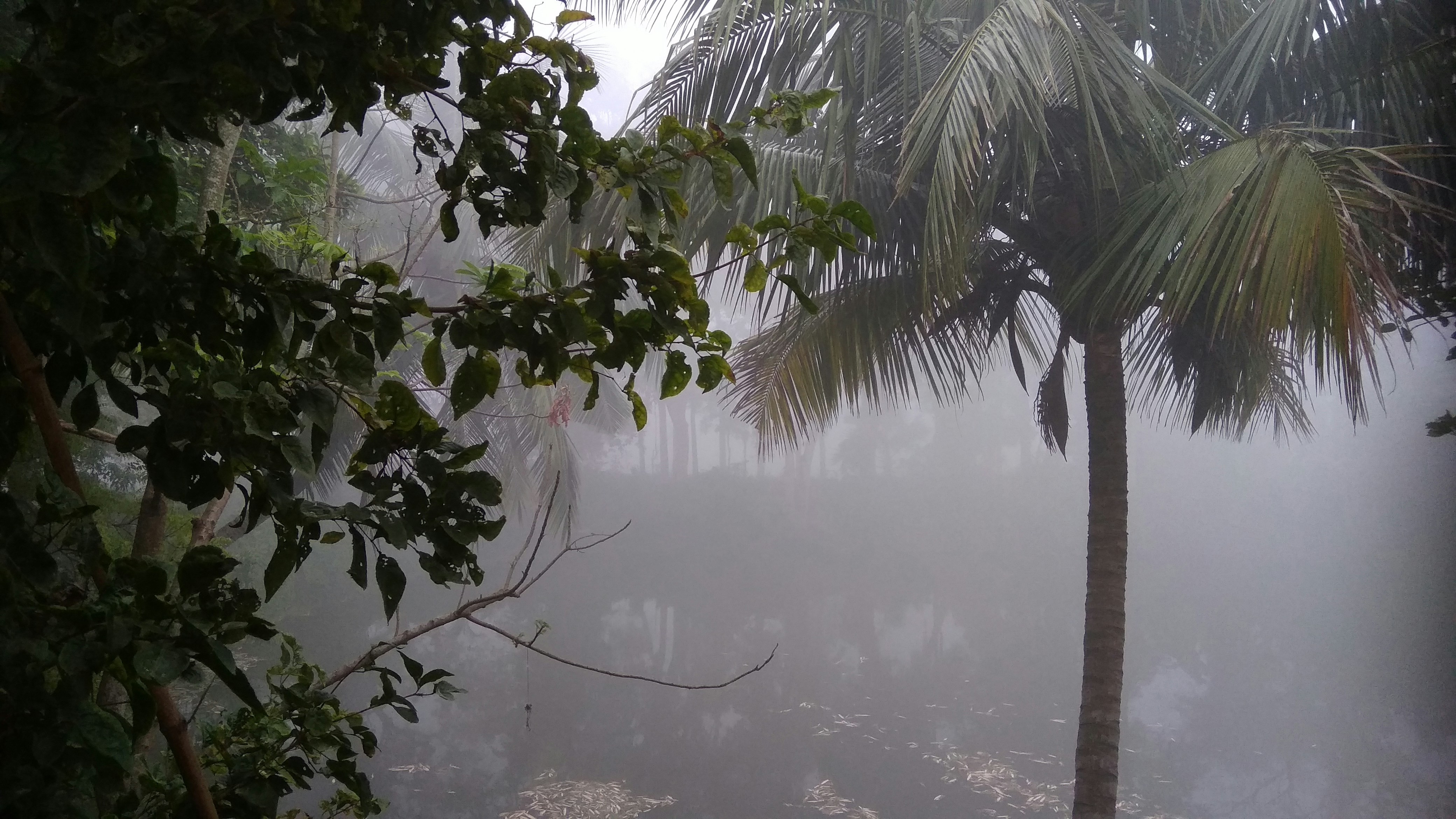 Sample photo from Xiaomi Redmi 5A