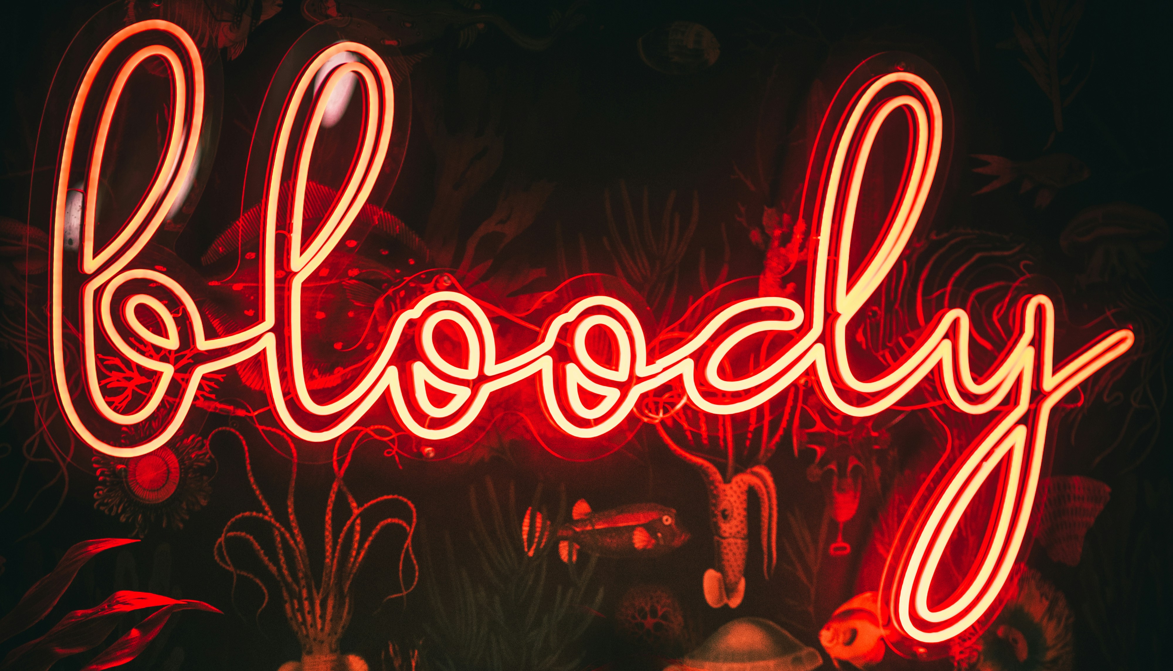 Foto Señalización de luces de neón rojas y blancas – Imagen Rojo gratis ...