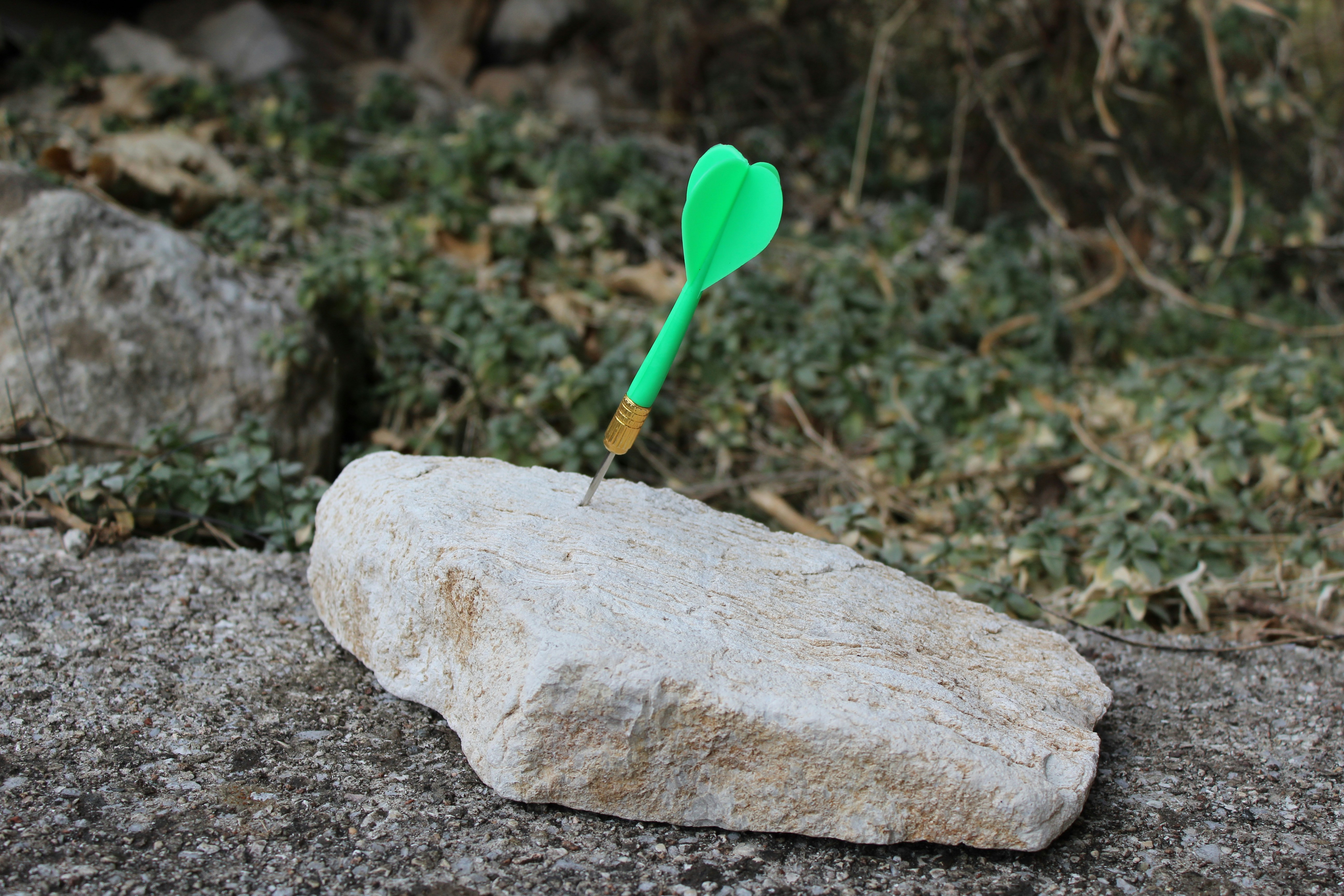 Emerald Dart Lodged in Weathered Rock: A Moment of Quiet Precision