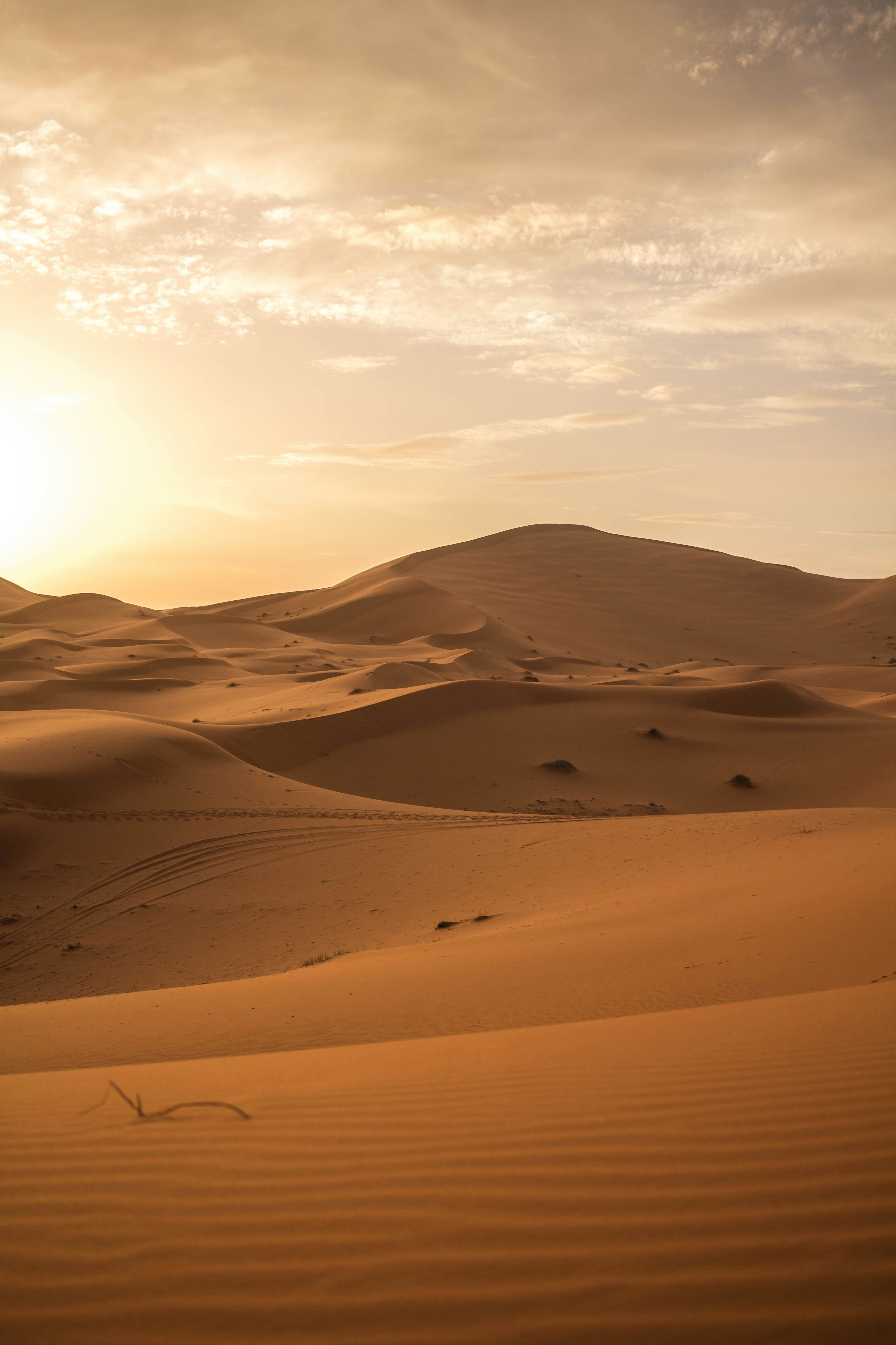 350+ Beautiful Sahara Desert Pictures - Africa | Download Free Images ...