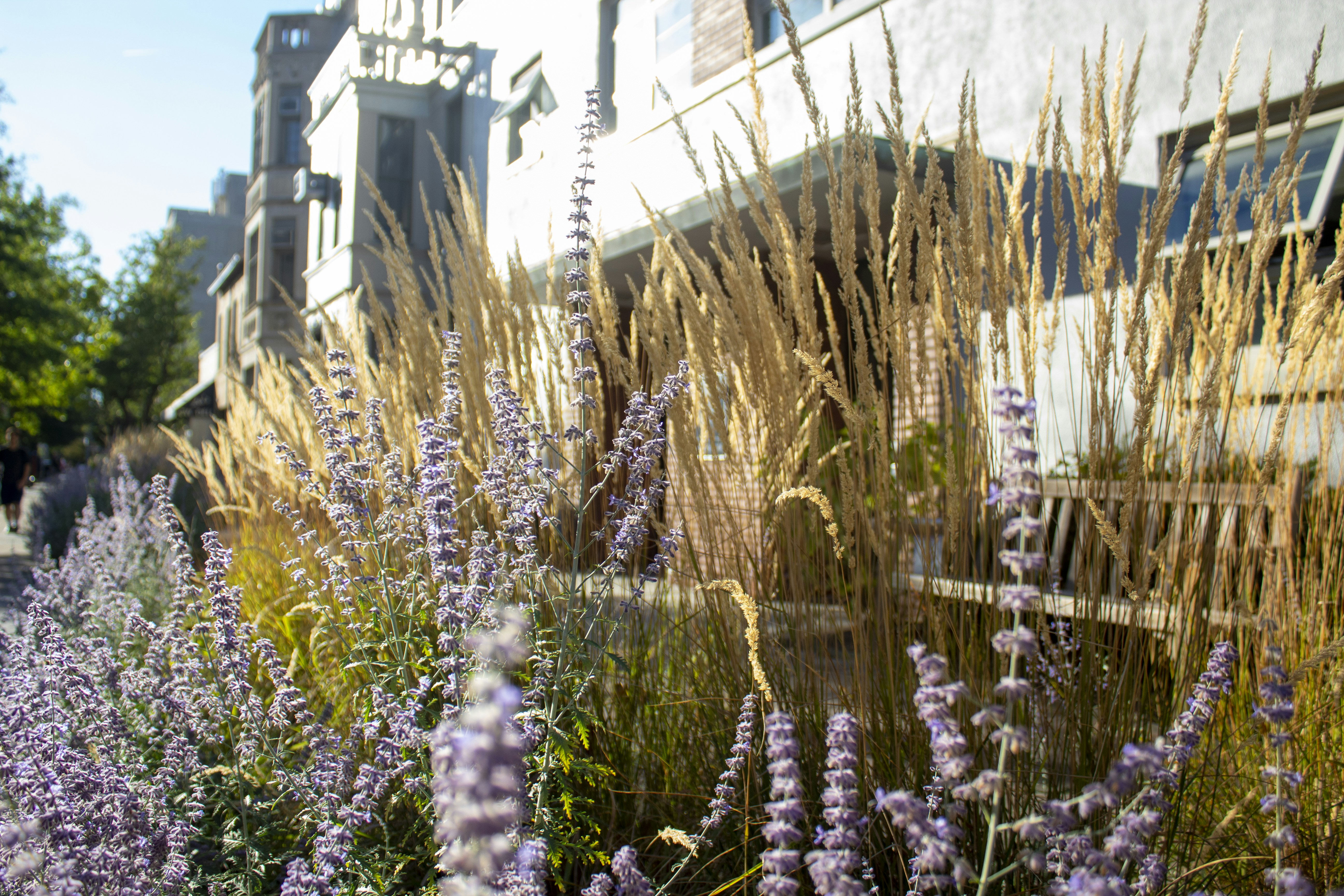 Alex Caba (@ac37) | Unsplash Photo Community