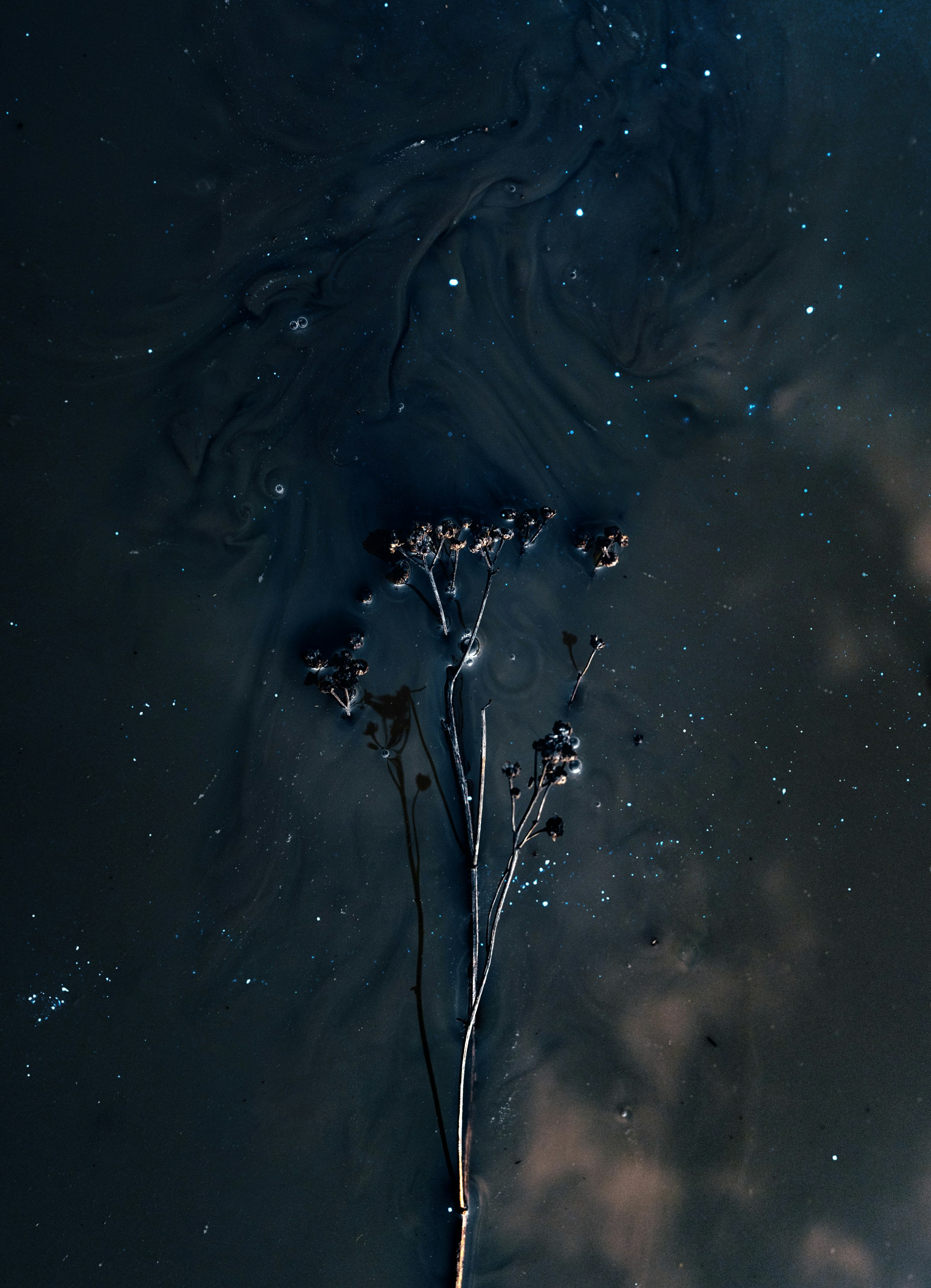 instagram.com/vadimsadovski