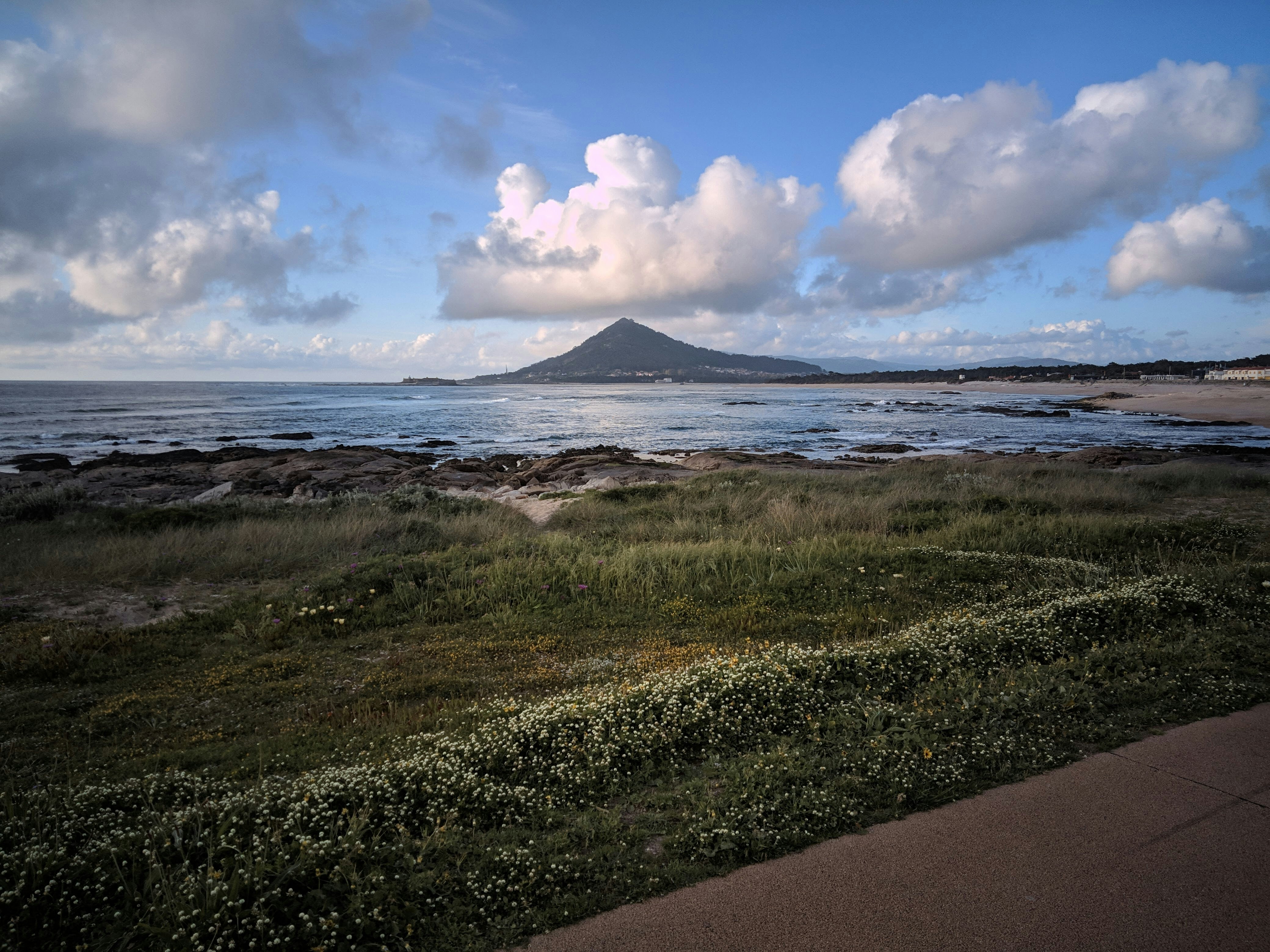 Green grass field near sea under blue sky and white clouds during ...